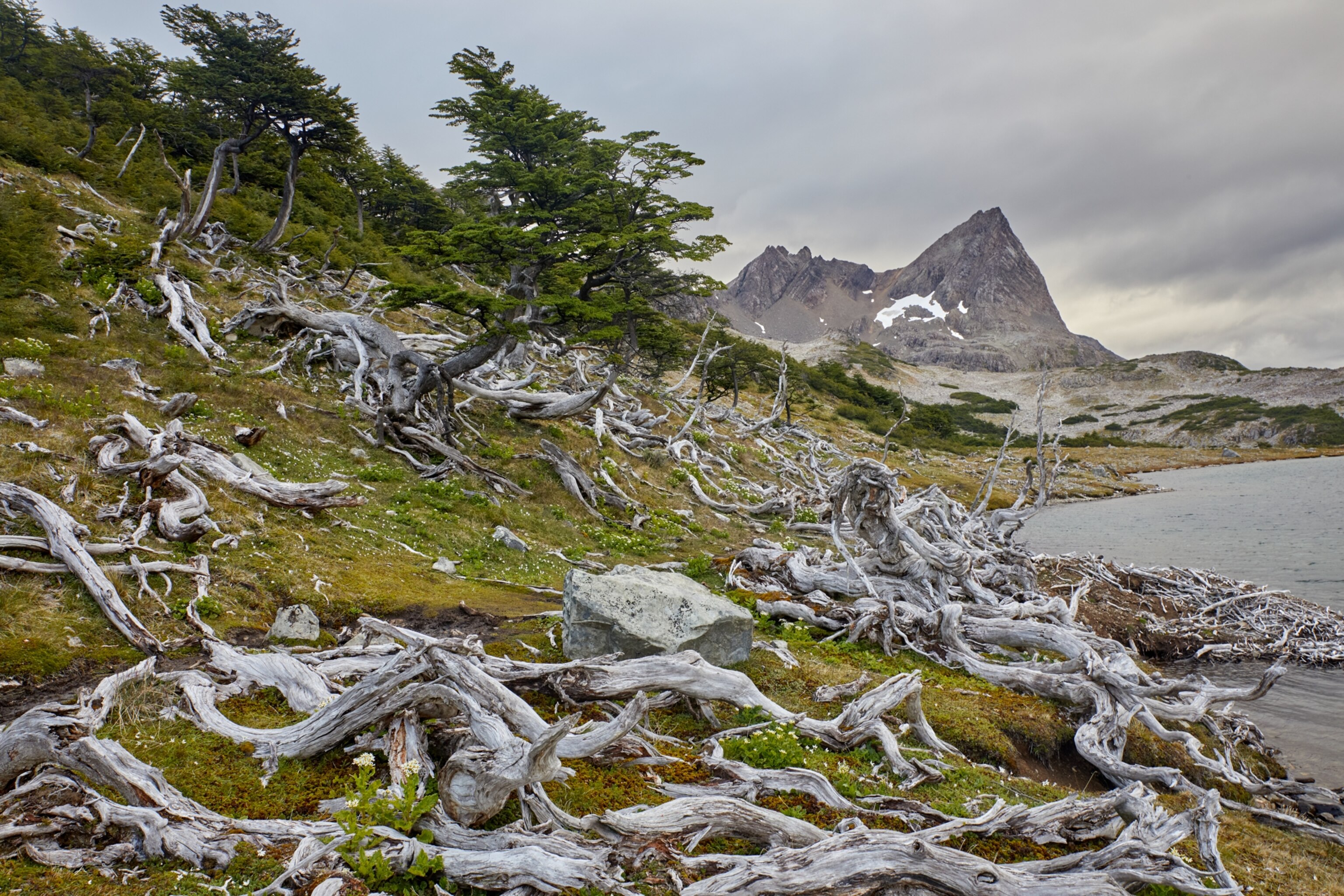 This thrilling Chilean trek is the world’s southernmost hike