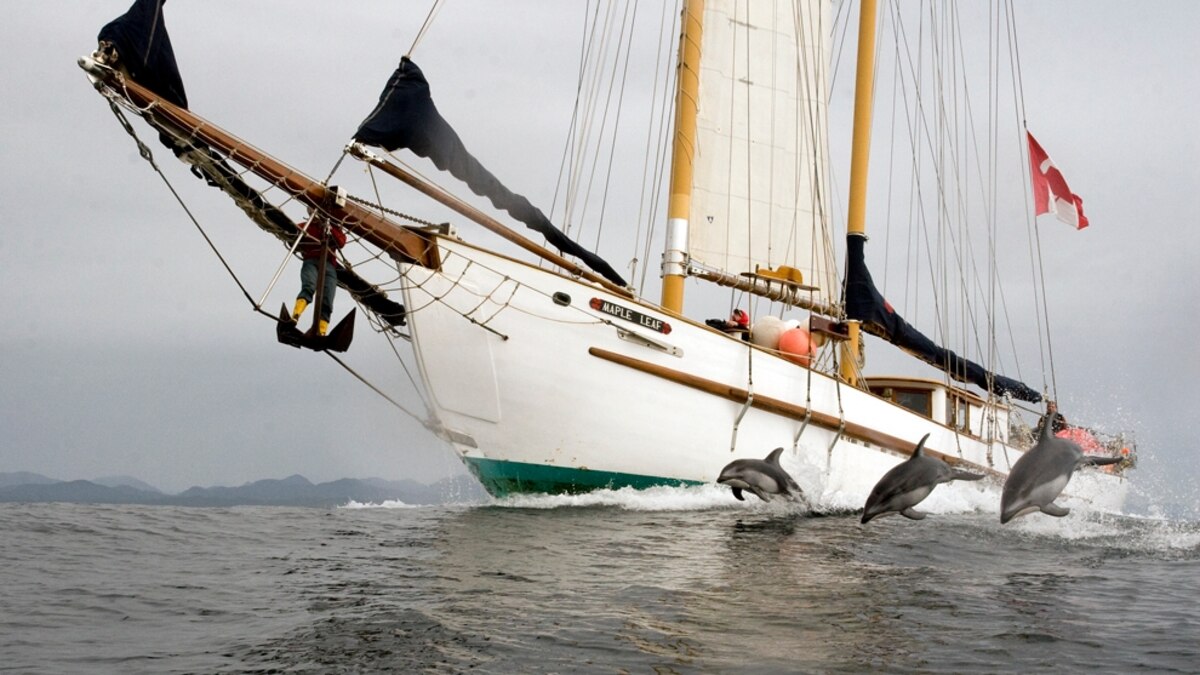 Photo Gallery: World's Best Guided Tours -- National Geographic ...