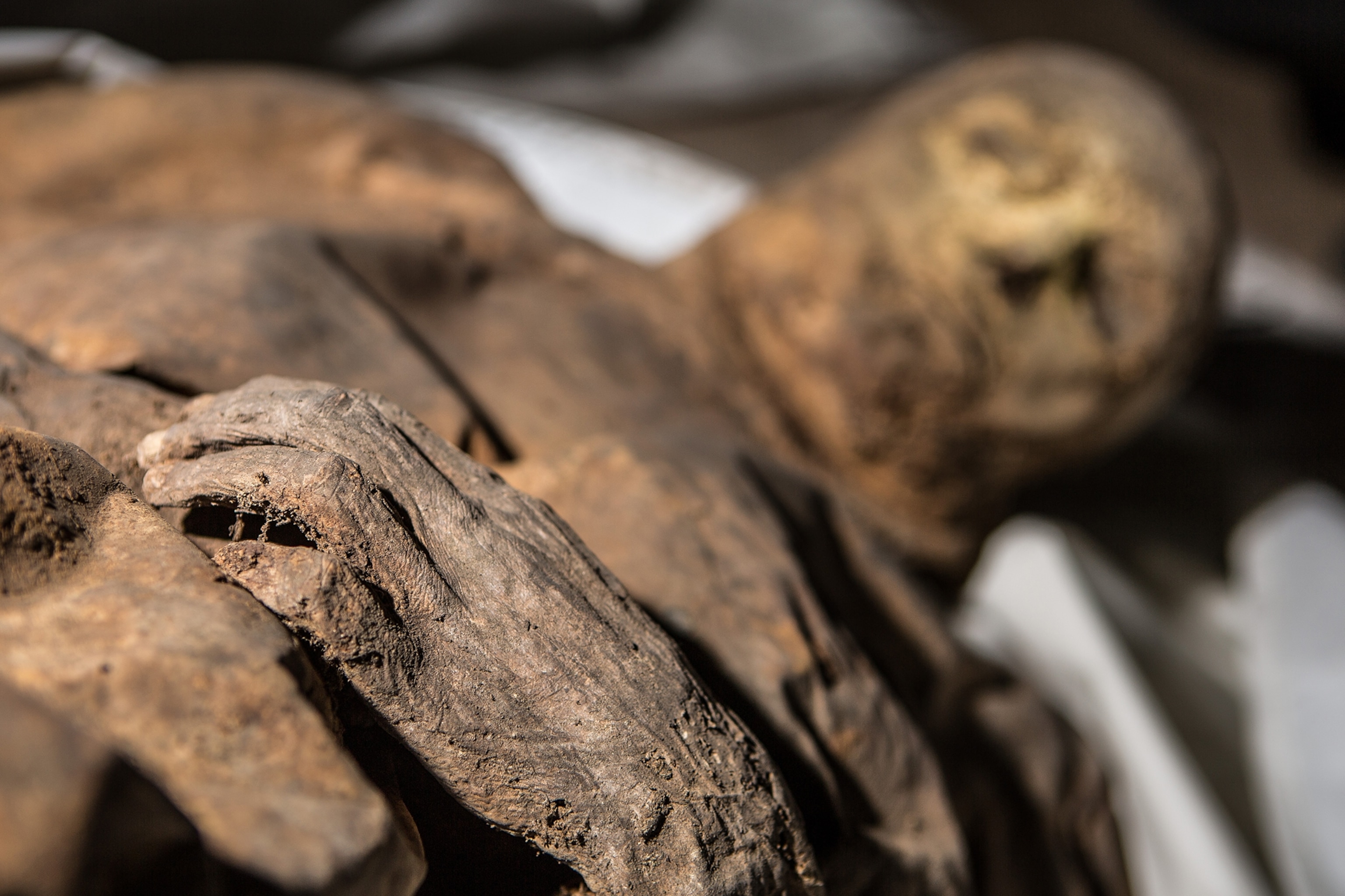 Pictures: Centuries After Death, Mummies Still Telling Stories