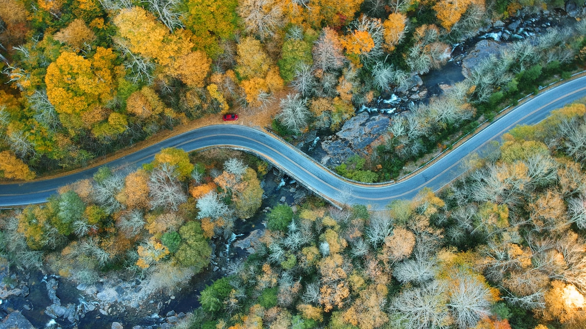 9 reasons to visit the American South | National Geographic