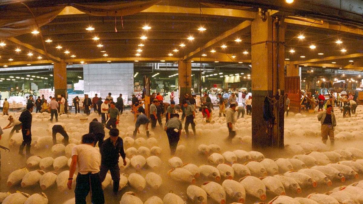 Tokyo Fish Market Photos - National Geographic | National Geographic