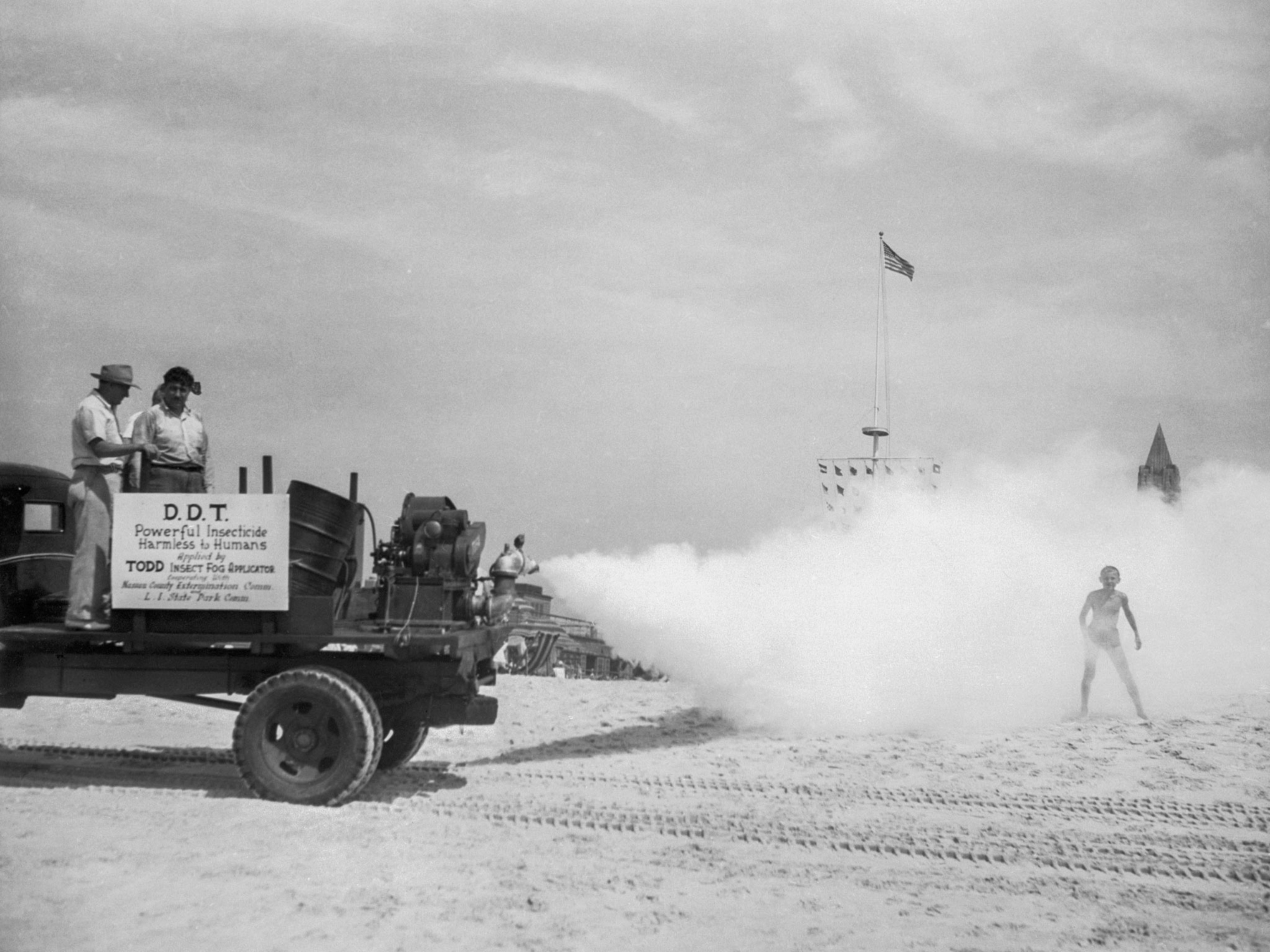 DDT Linked to Fourfold Increase in Breast Cancer Risk