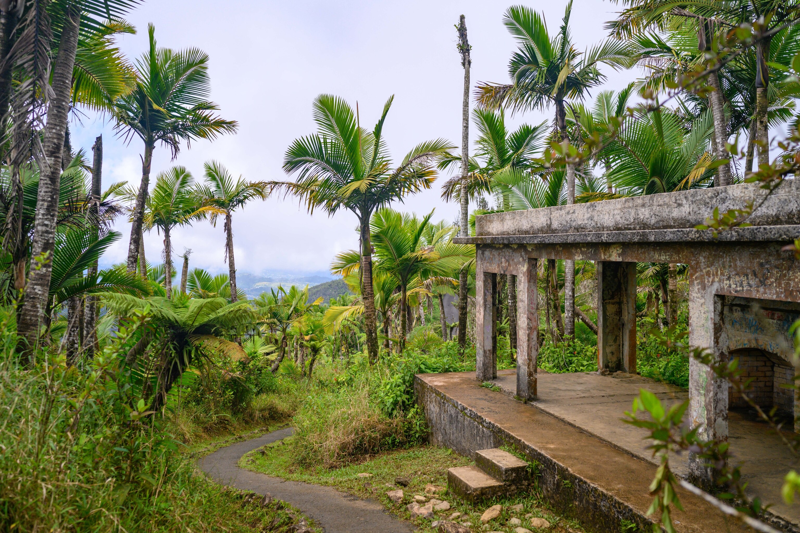 Puerto Rico’s stunning new trail traverses a tropical rainforest