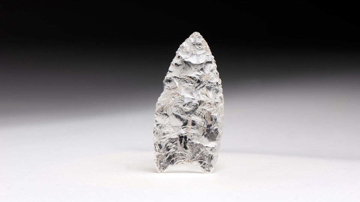 Ancient Native Americans Ate Pachyderms; Site Challenges Theory of ...