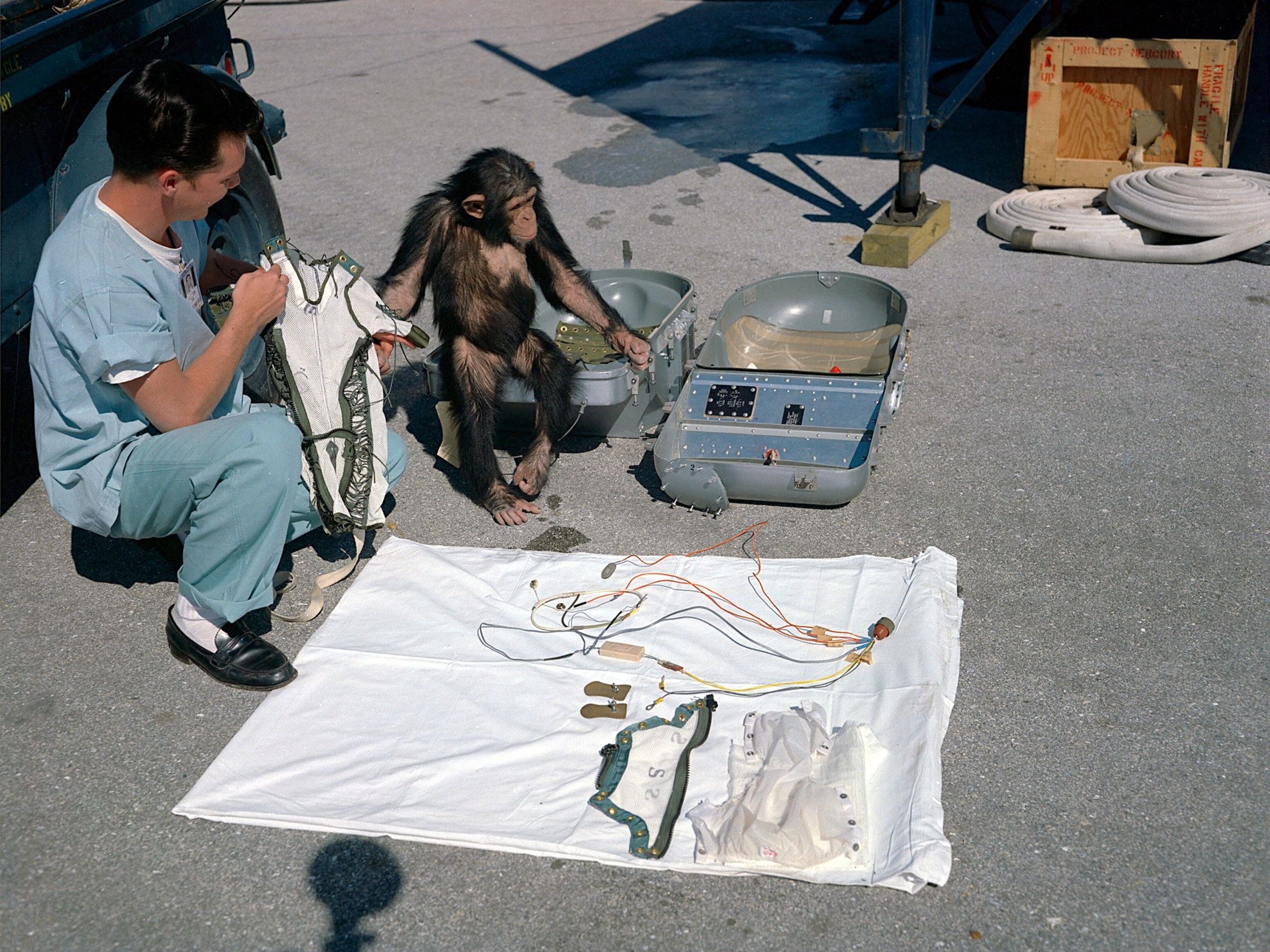 Into the ‘new ocean’: captivating images from America's first space program