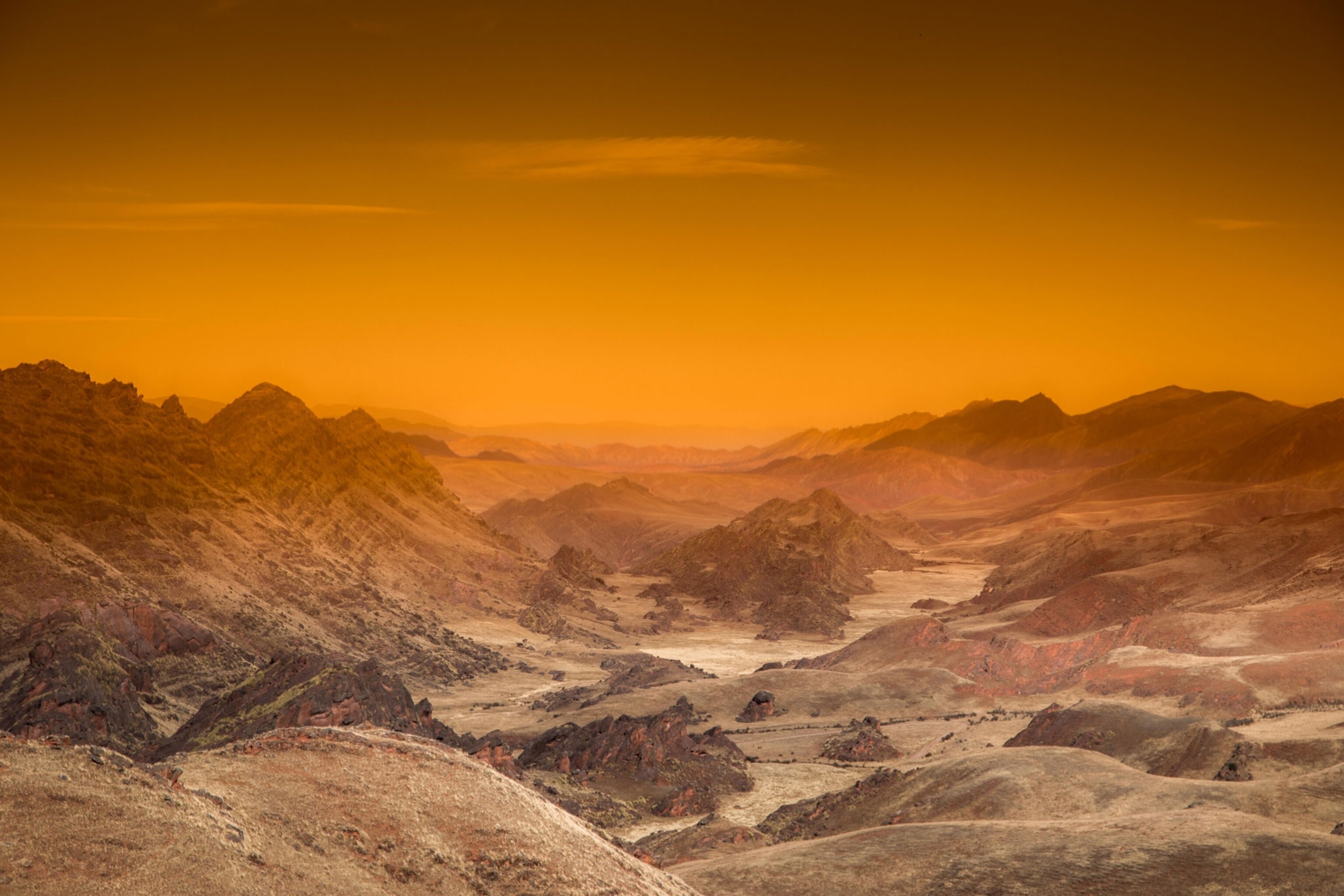 A look inside the monumental effort to save the Andean condor
