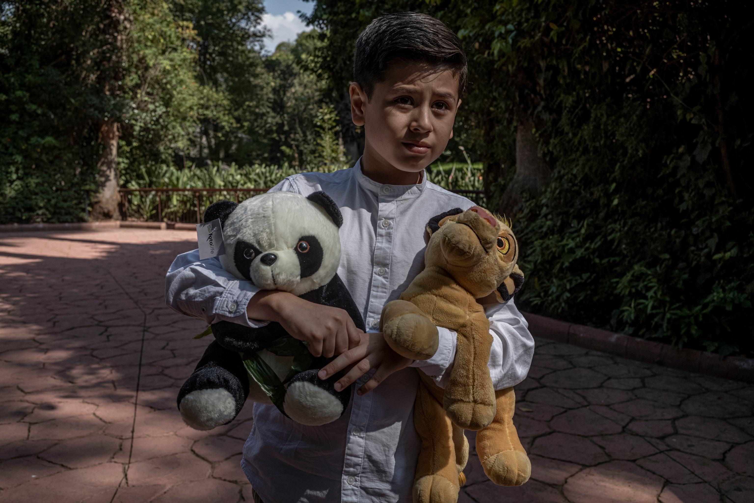 Meet Mexico's 'forgotten panda.' She's the last of her kind.