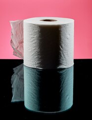 What Did People Do Before Toilet Paper What Did People Do Before Toilet Paper