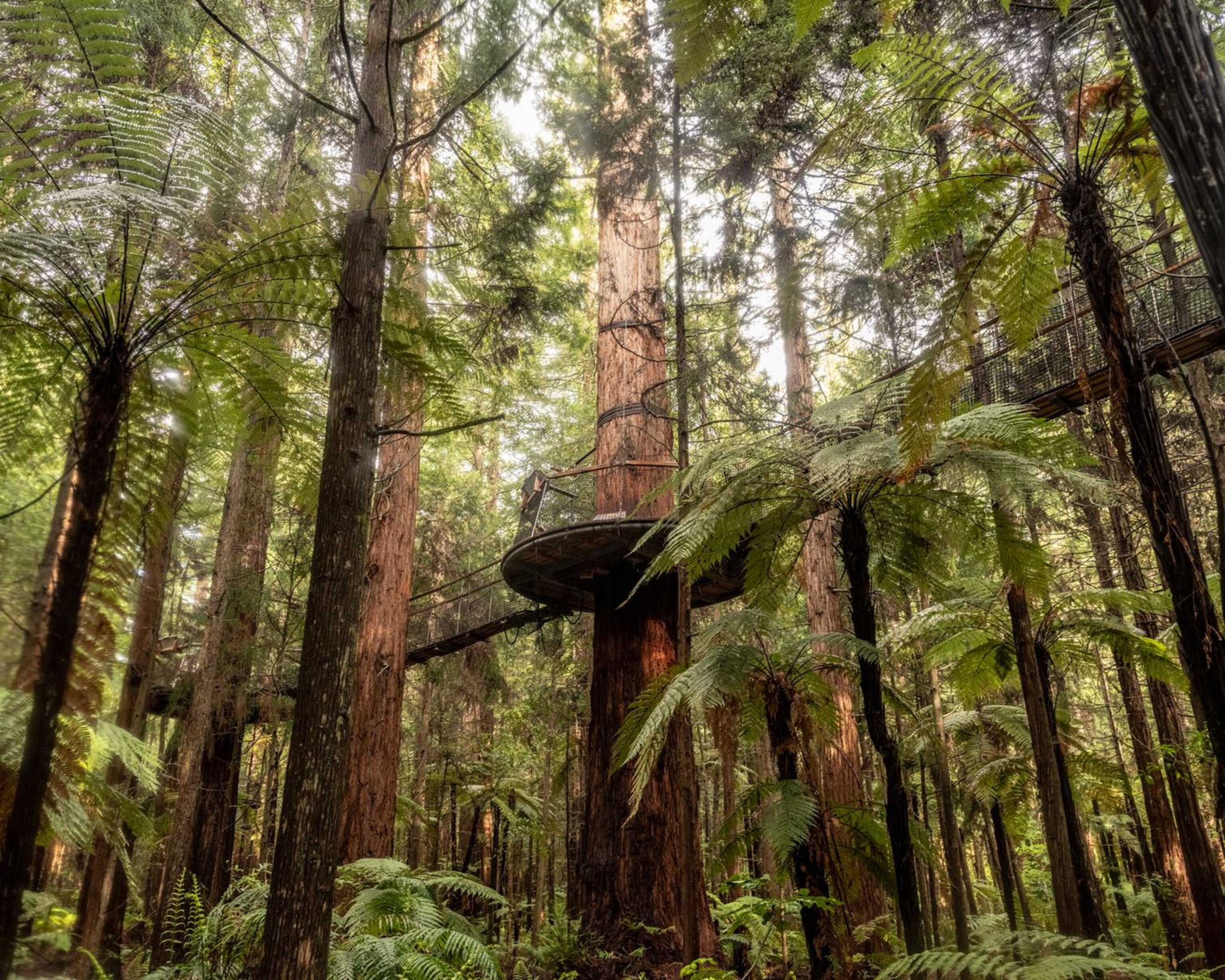 Wonder and wisdom in the Bay of Plenty