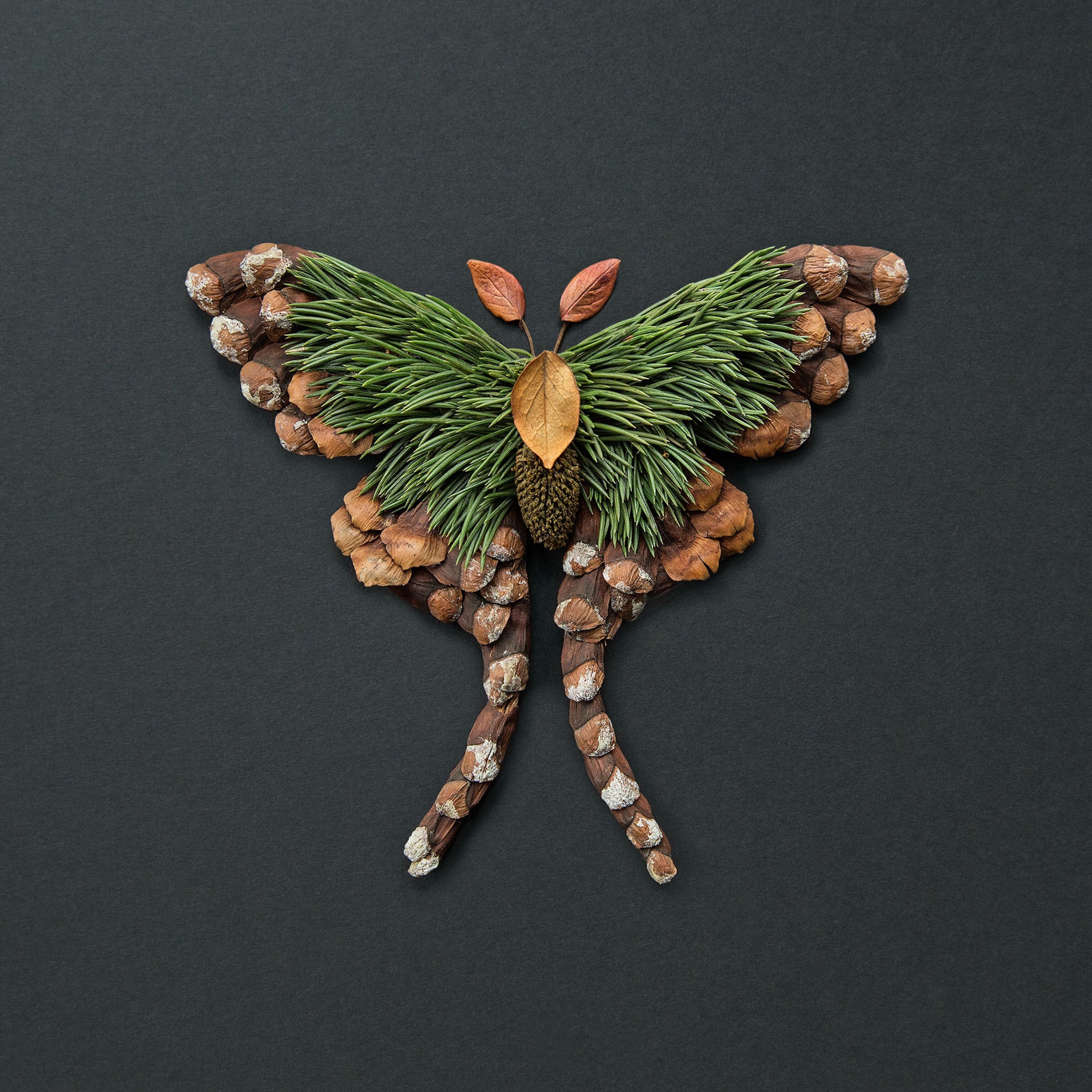 Artist Raku Inoue makes colorful insects out of plants