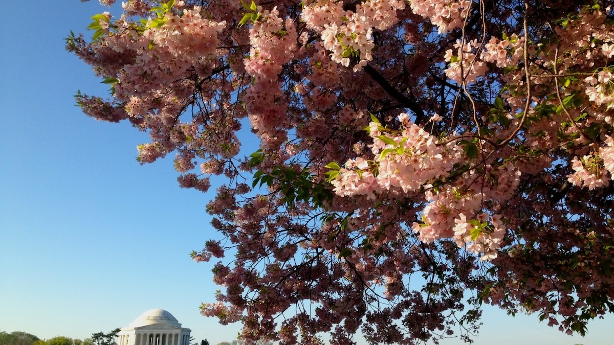 Four Seasons of Travel | National Geographic