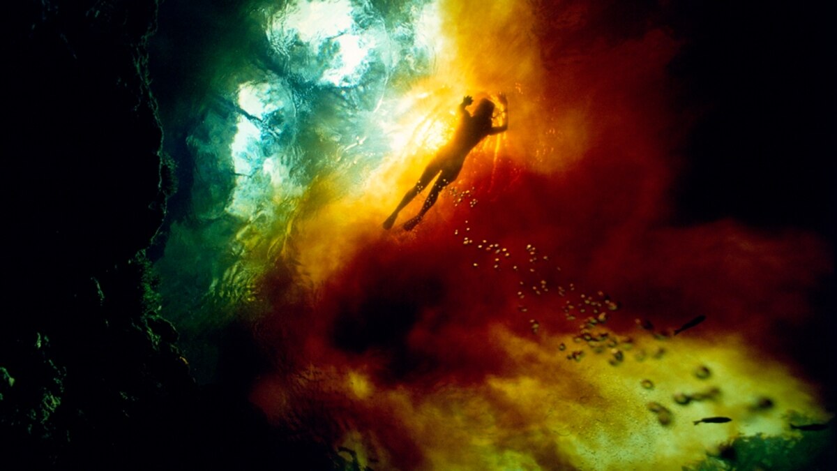 Florida Wetland, Spring, and Bay Photos -- National Geographic ...