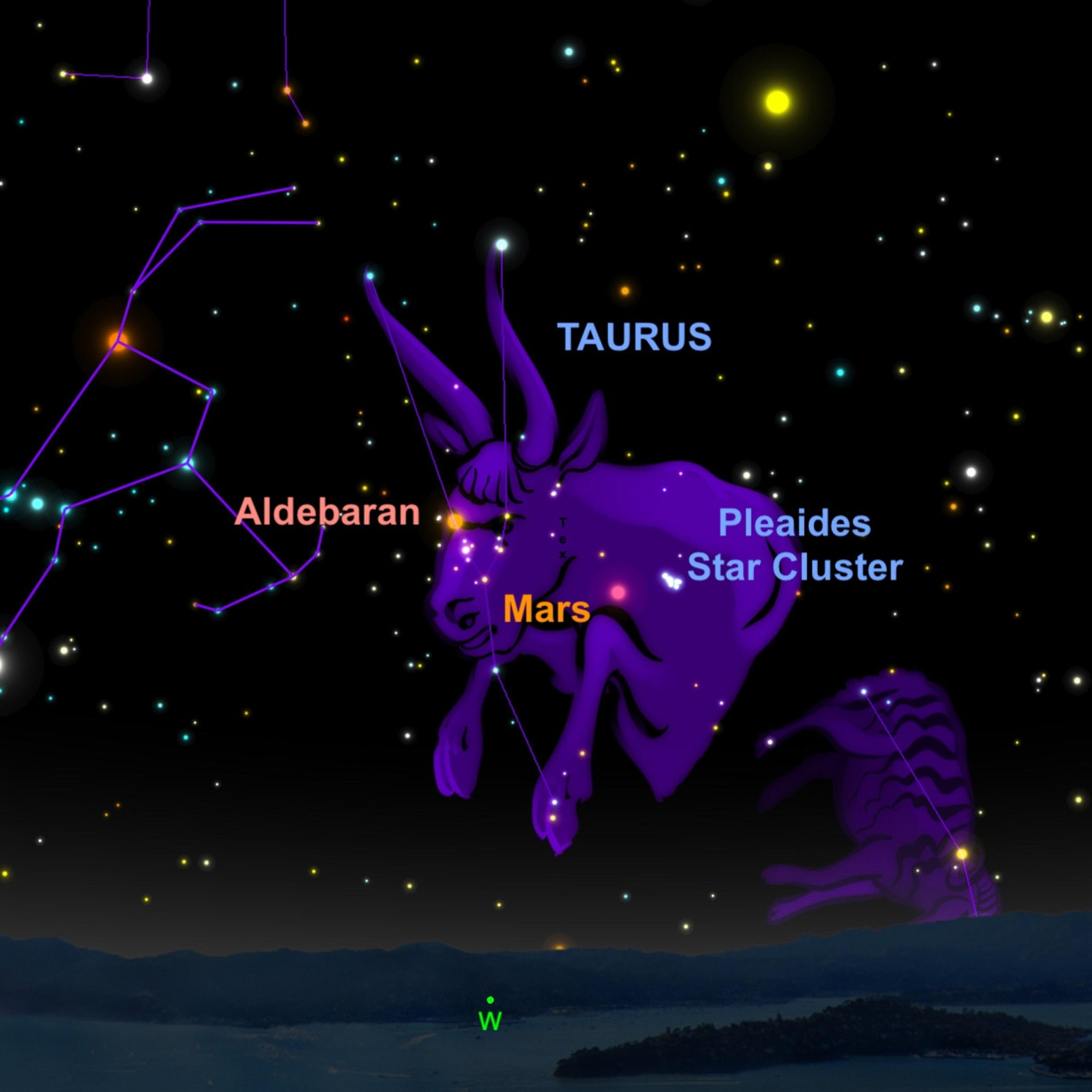 Starcluster Taurus