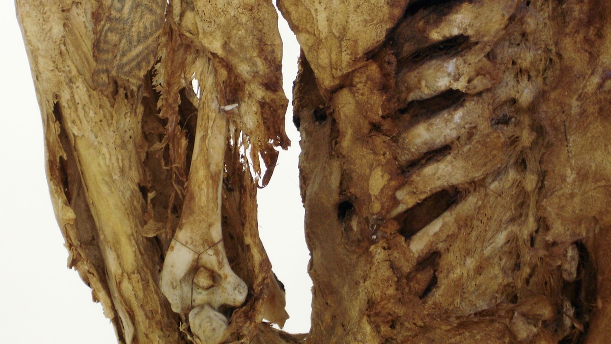 Here are 6 amazing ancient tattoos—and the stories behind them ...