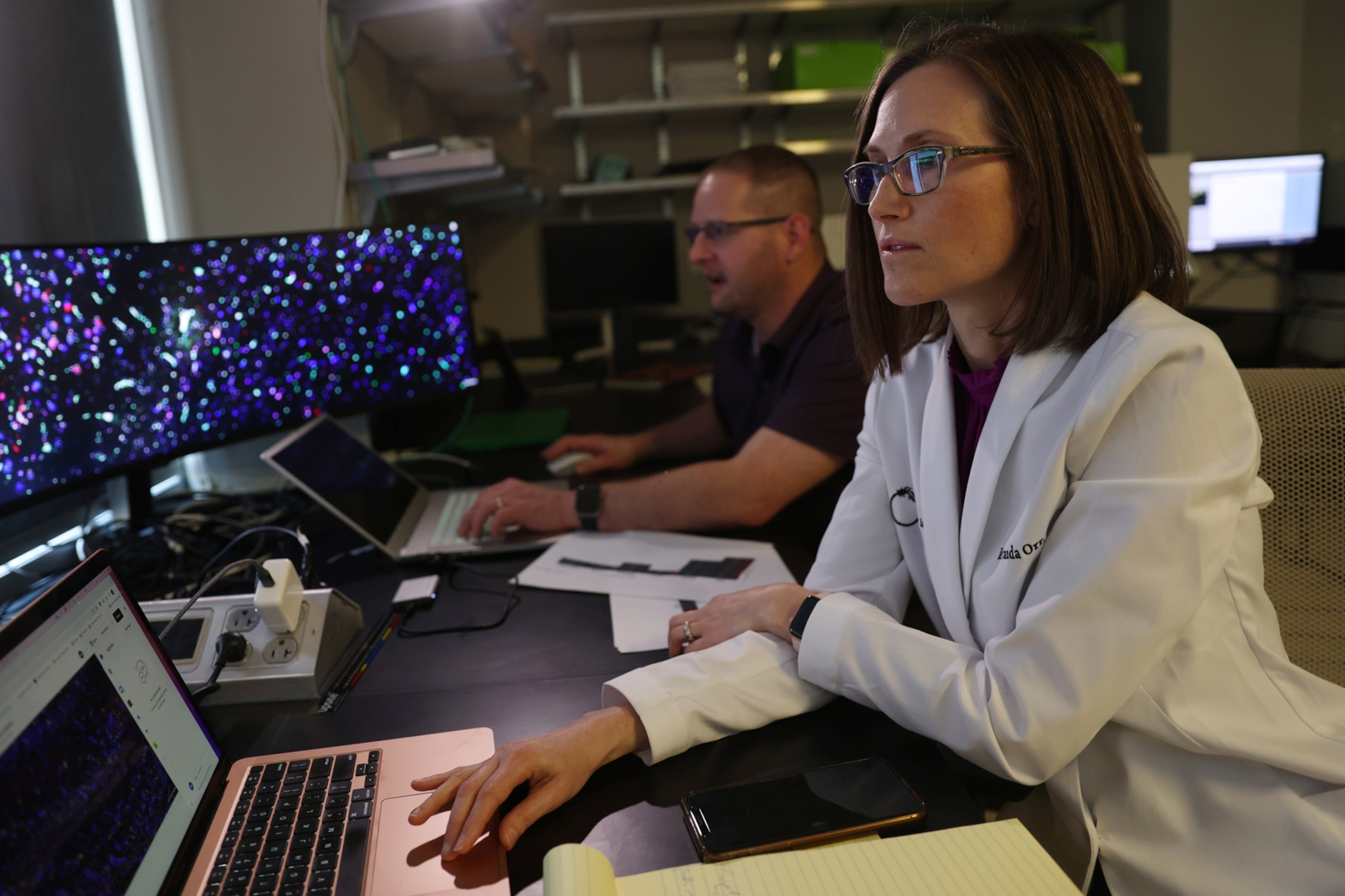 ‘Zombie cells’ could hold the secret to Alzheimer’s cure