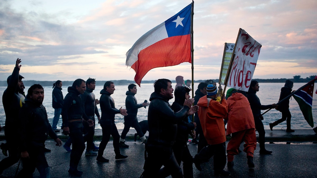 Chile's Record Toxic Tides May Have Roots in Dirty Fish Farming ...