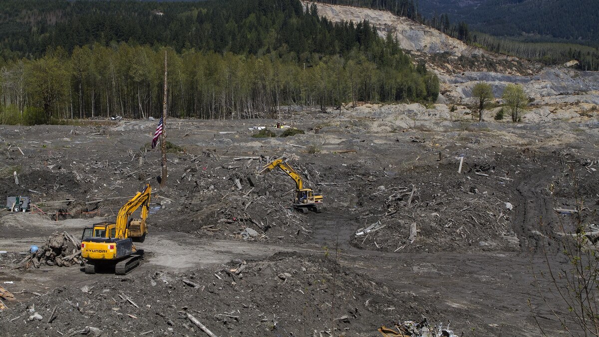 Causes of Deadly Washington Mudslide Revealed in Scientific Report ...