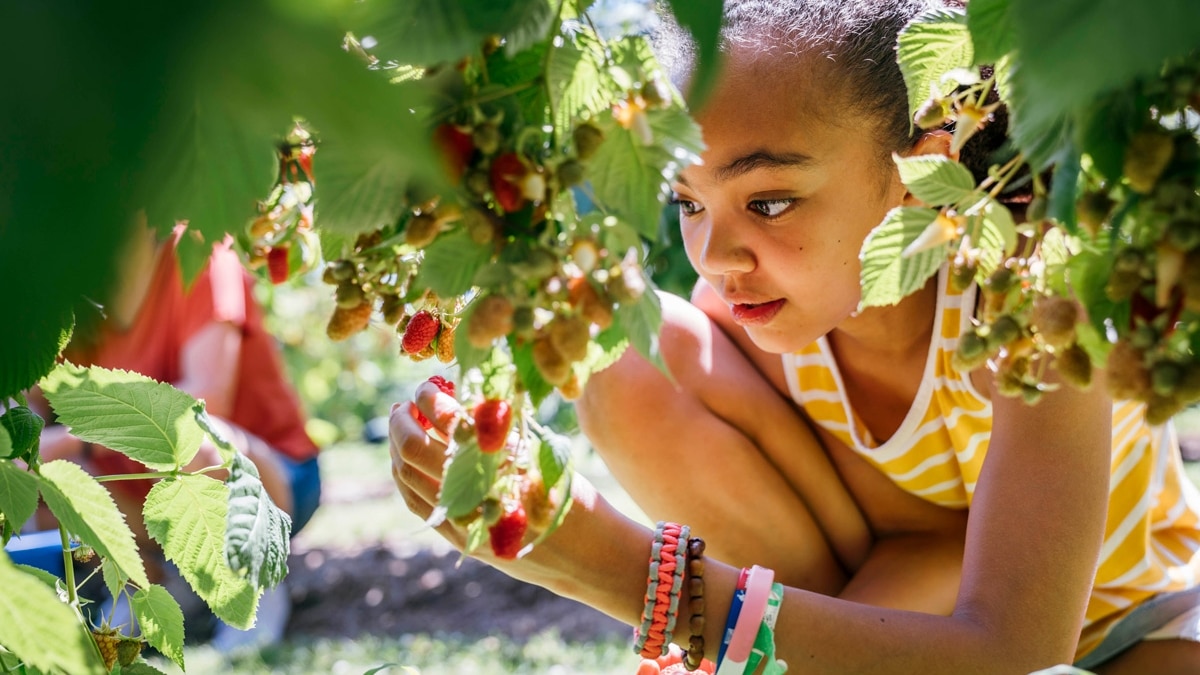 How foraging for food can bring kids closer to nature | National Geographic