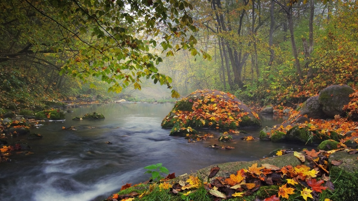 Photos of Fall | National Geographic | National Geographic