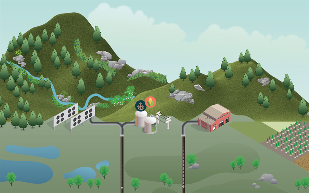 12 ways to capture carbon—before it’s too late | National Geographic