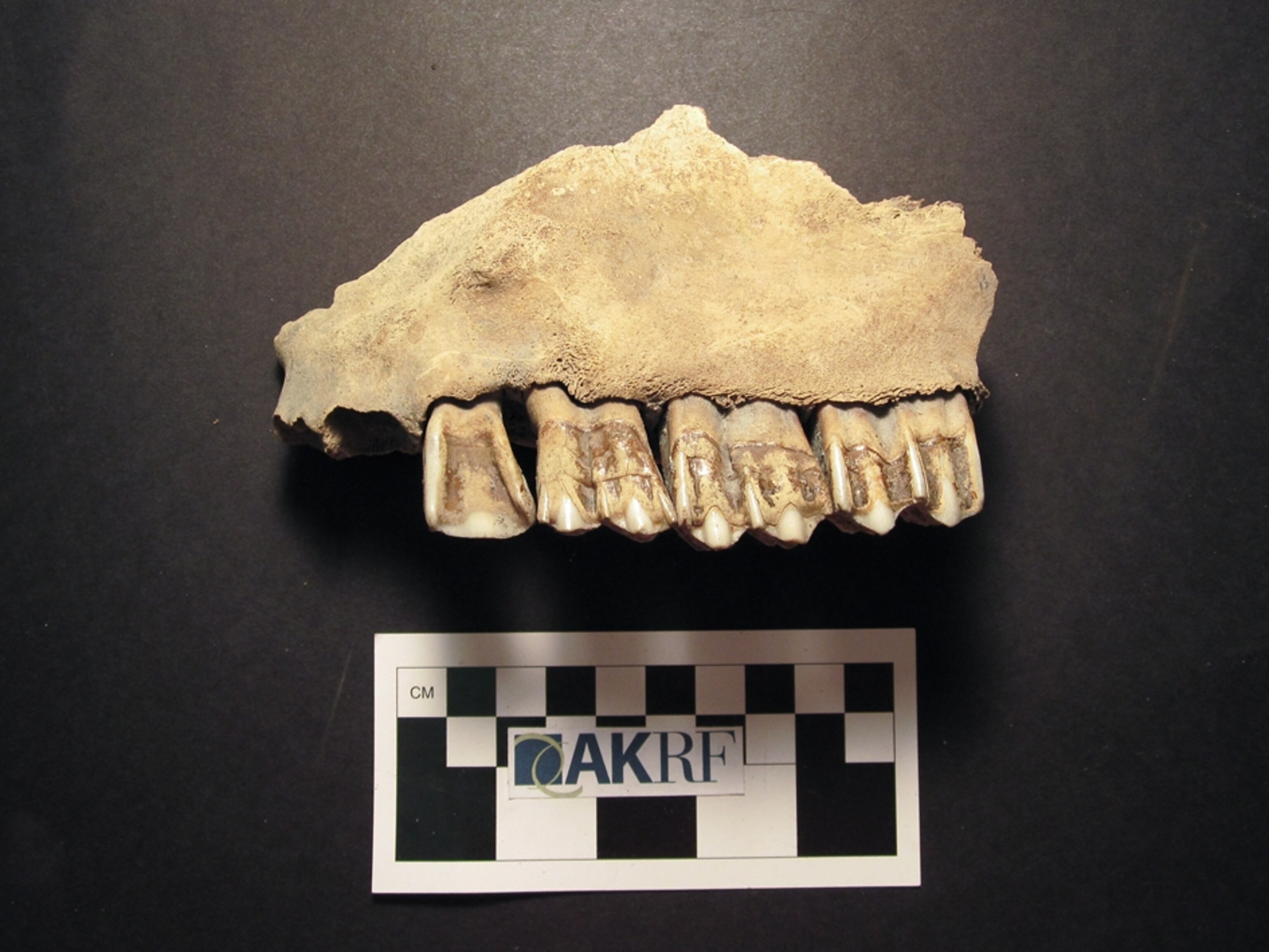 Pictures: 18th-Century Ship Found Under 9/11 Site