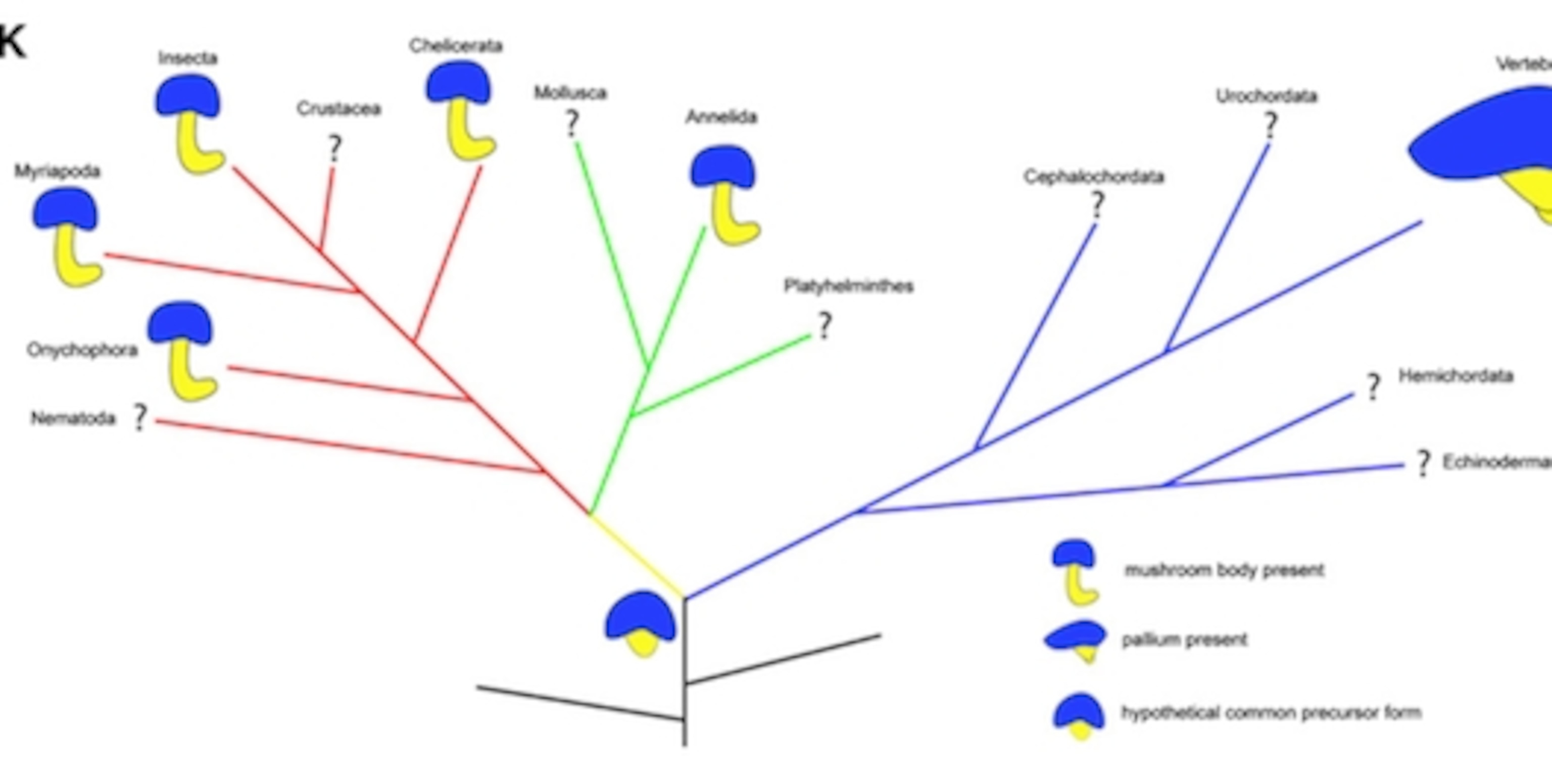 The Worm In Your Brain