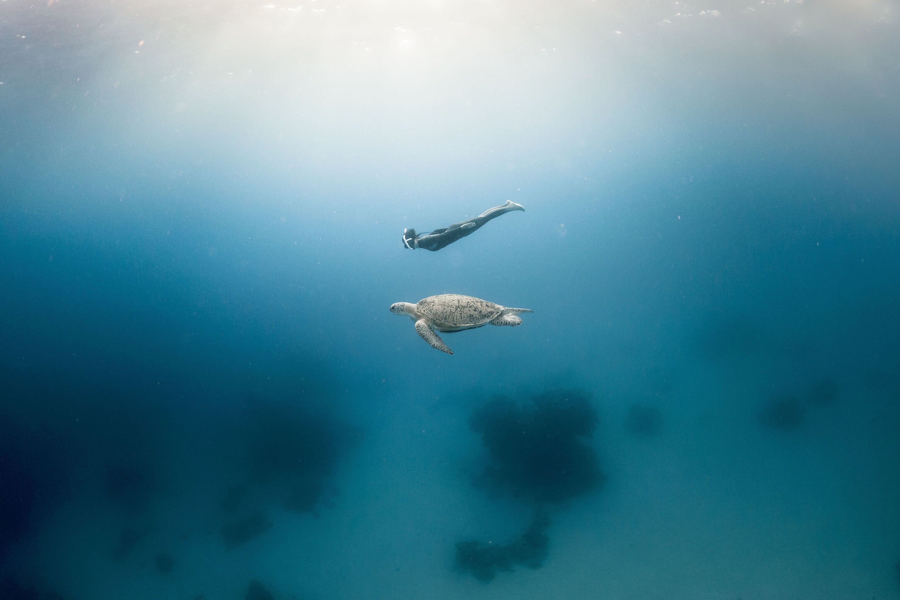 Your Underwater Adventure Photos | National Geographic