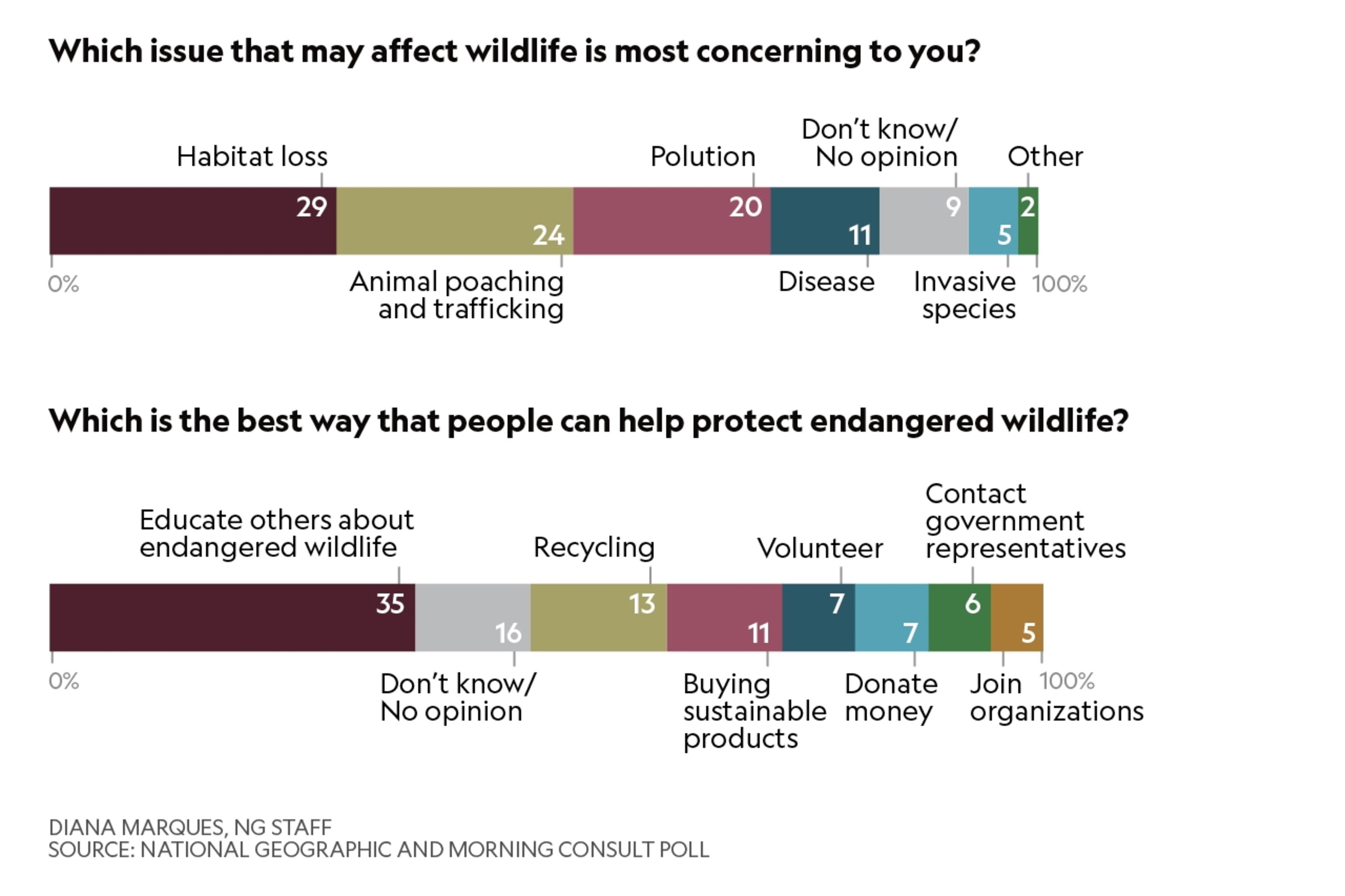 How can cute things be so destructive?