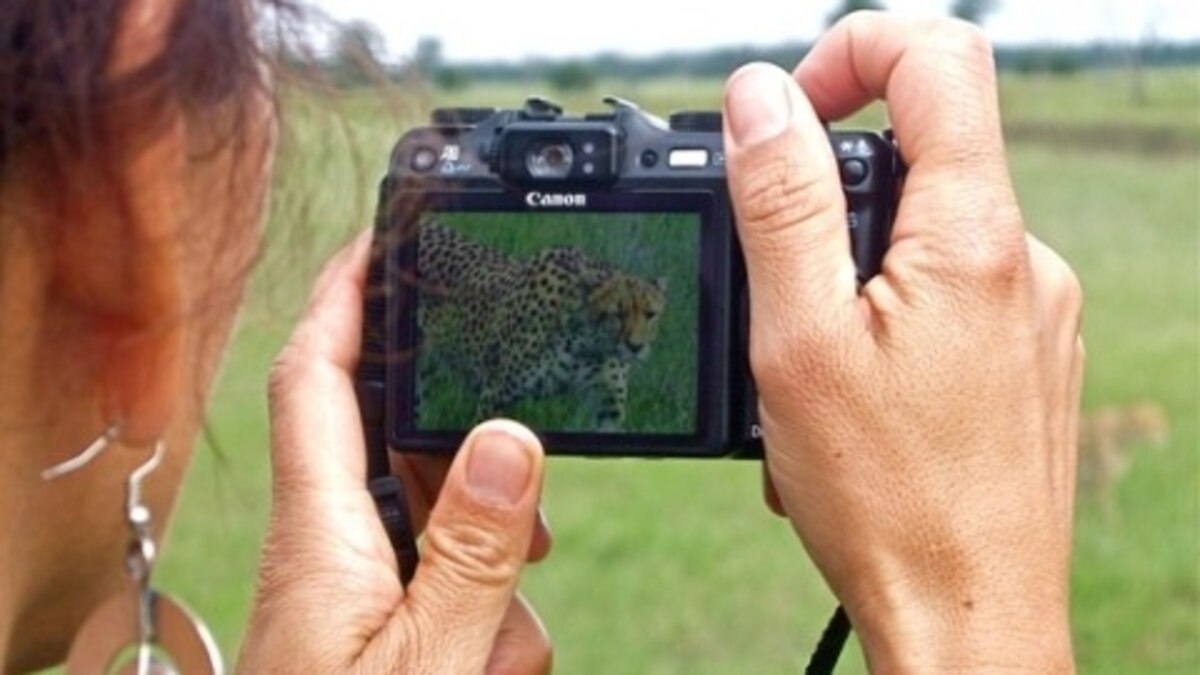 One Step Closer to a Good Shot | National Geographic