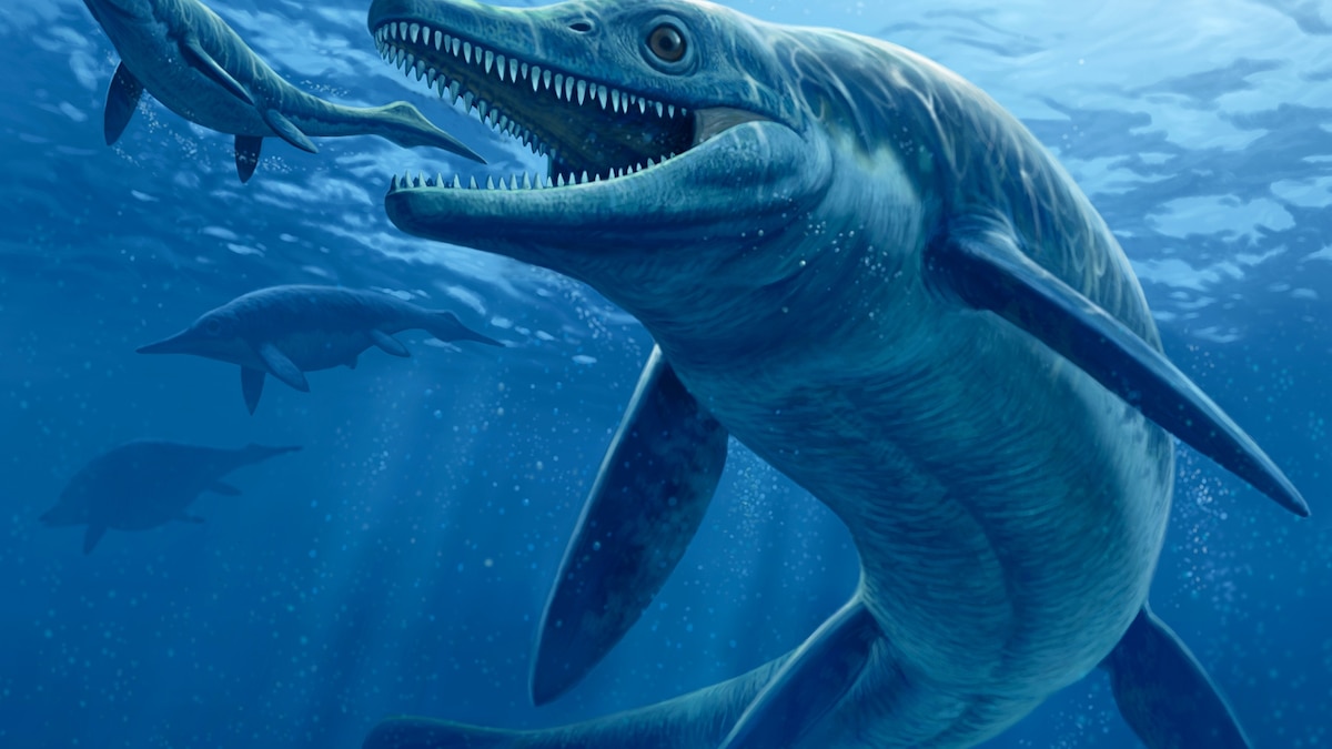 Bus-Size Sea Monster Found, Took On Prey Its Own Size | National Geographic