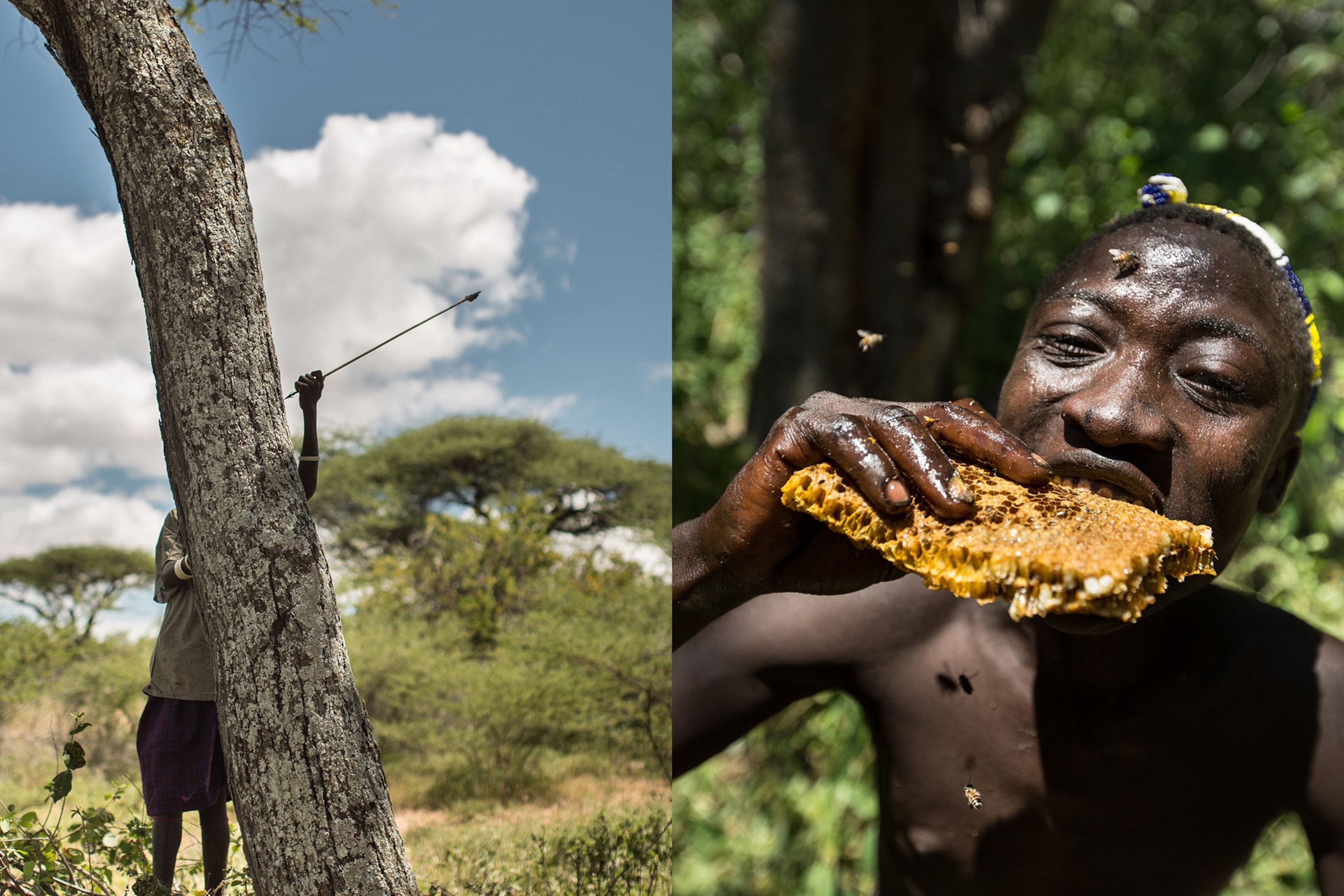 We Are What We Eat: Hunting the Hadza Way With Bows, Arrows, and Ingenuity