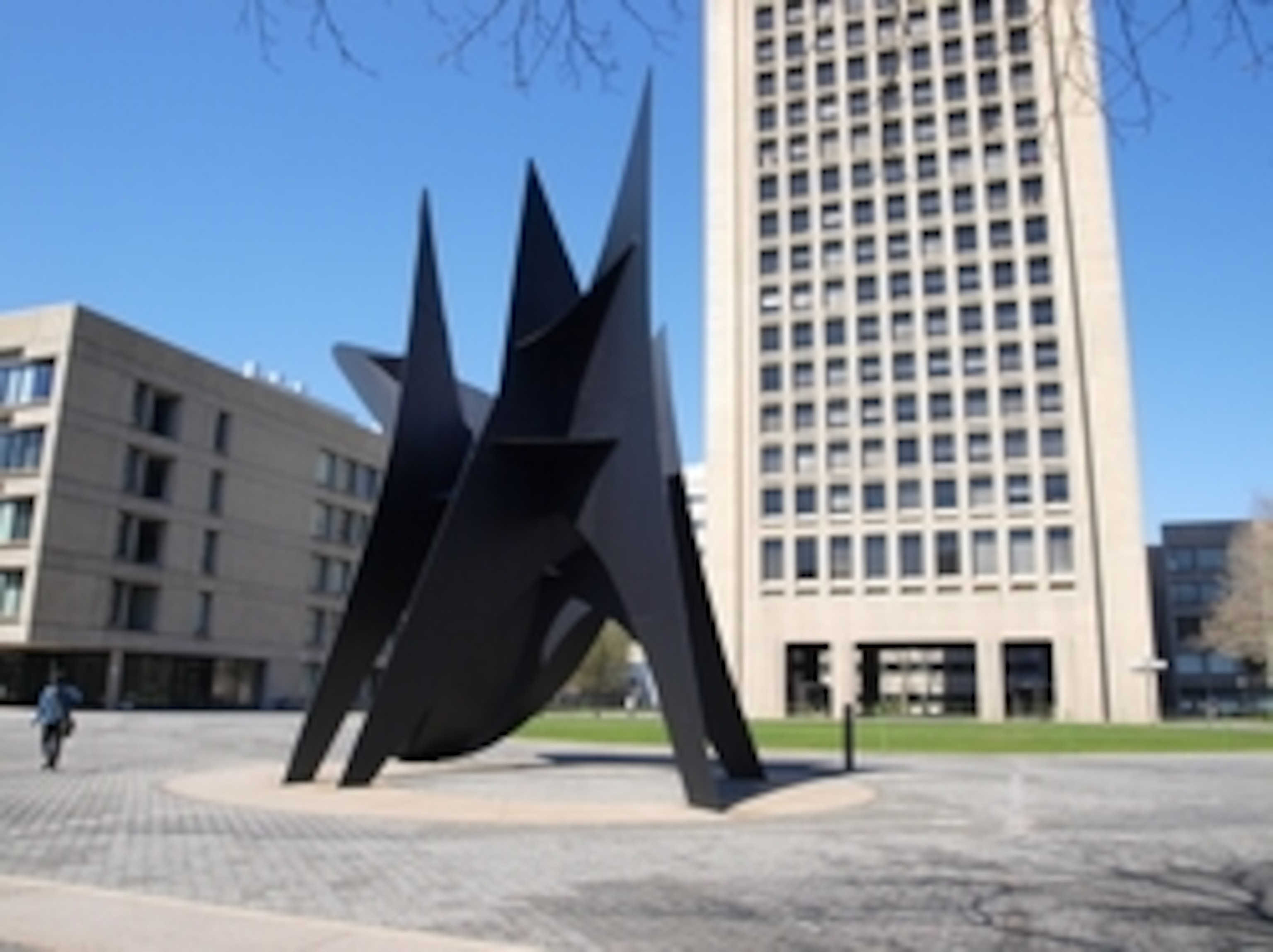 ‘Tis the Season for Campus Tours | National Geographic