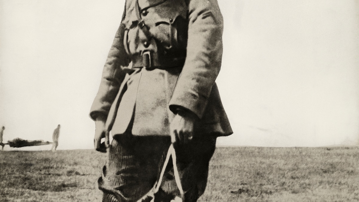 Dogs at War: Three-Legged Dog Delivers Crucial Message in WWI ...