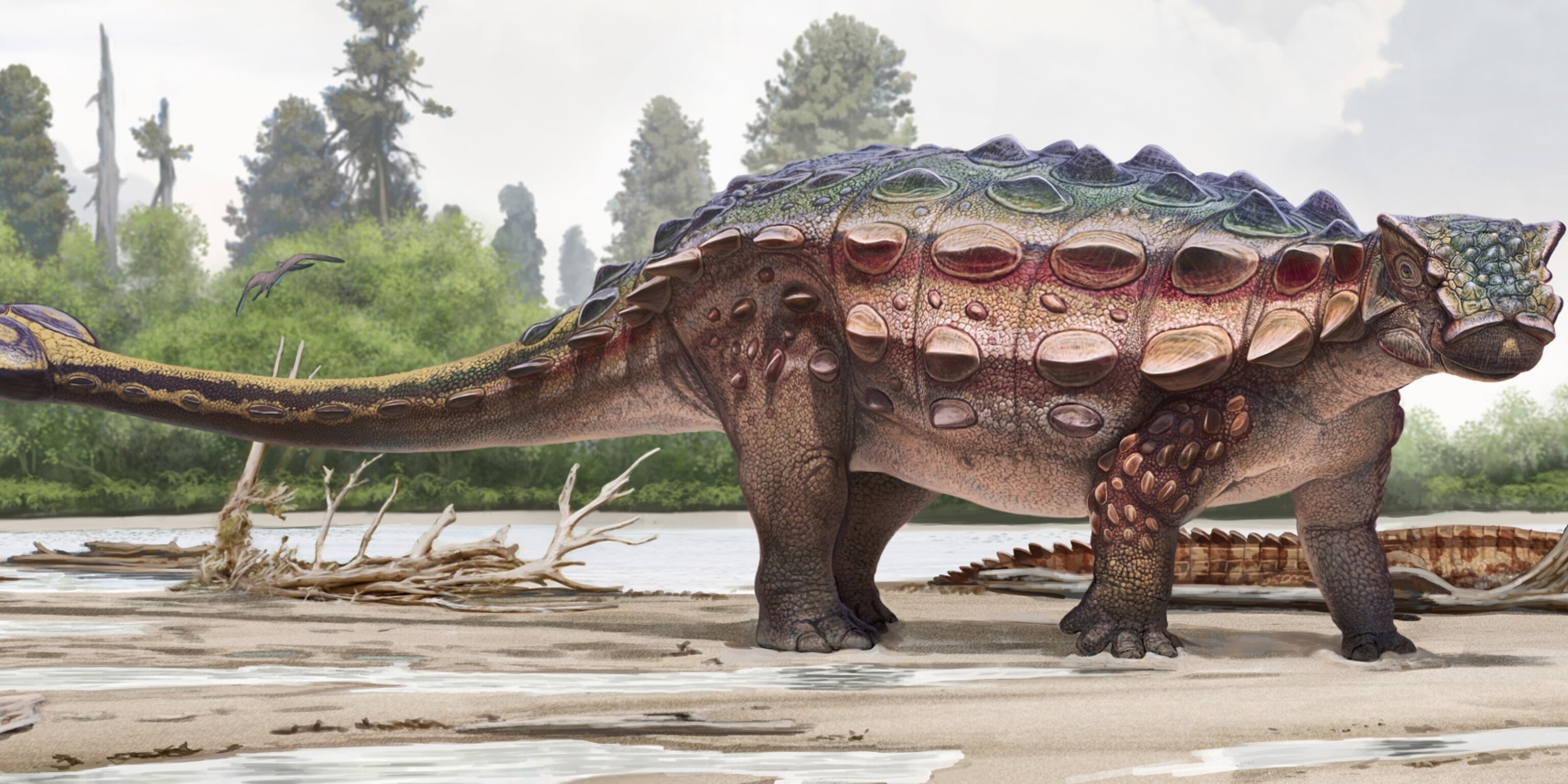 Spectacular Armored Dinosaur Found in Grand Staircase-Escalante ...