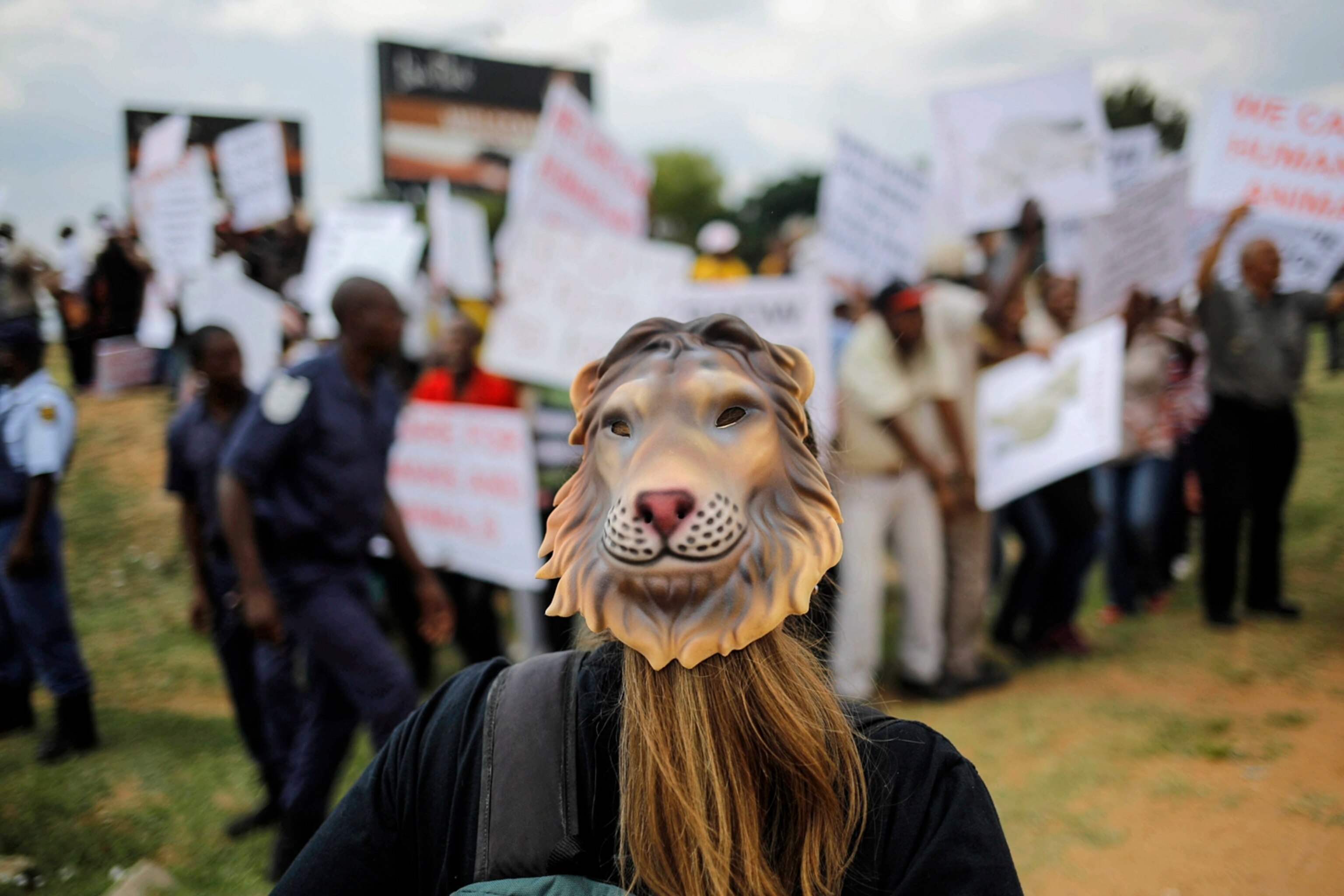 Is Captive Lion Hunting Really Helping to Save the Species?