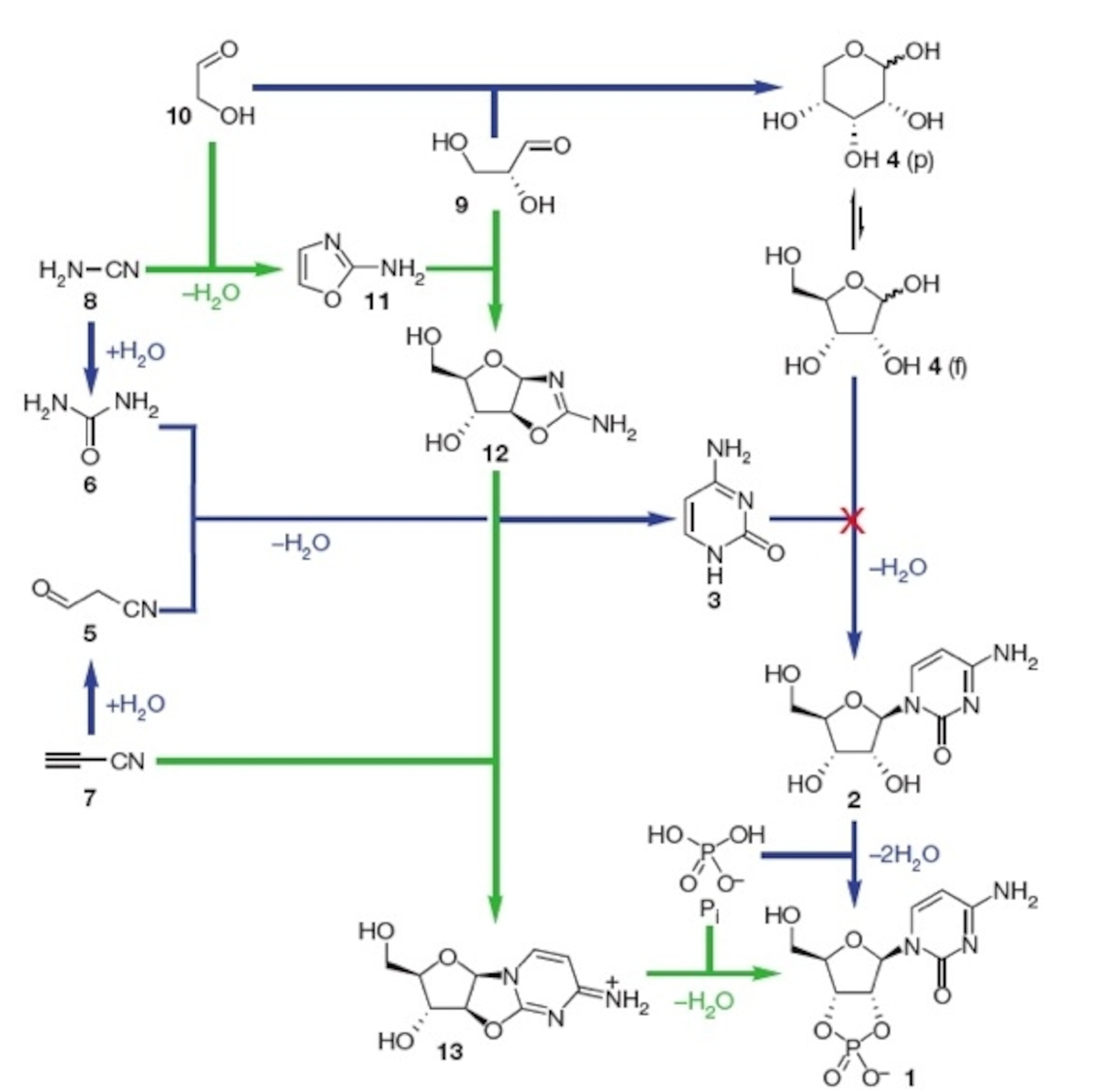 In The Prebiotic Kitchen