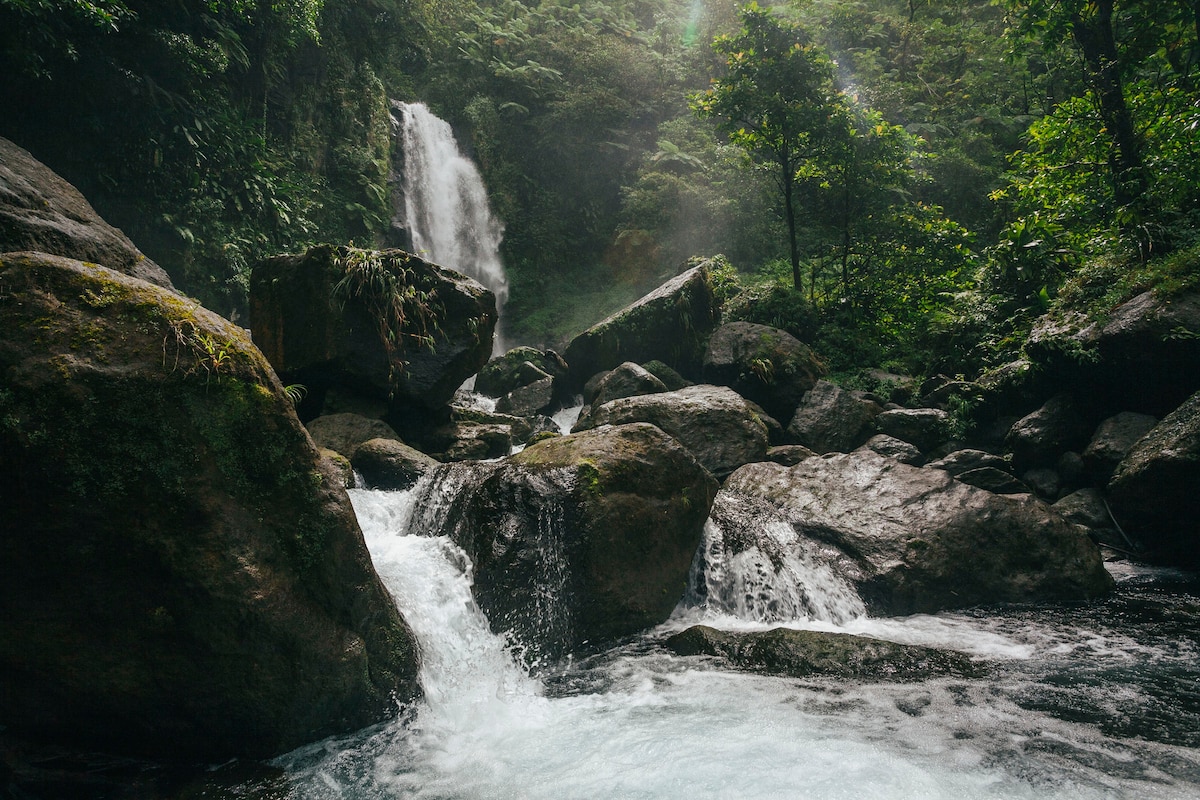 Dominica Travel Guide