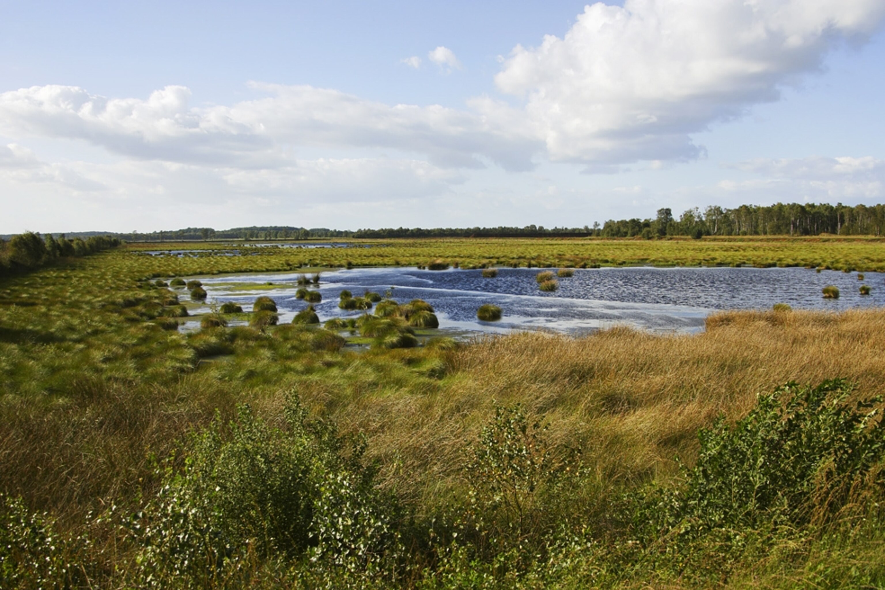 Pictures: Ancient Bog Girl's Face Reconstructed