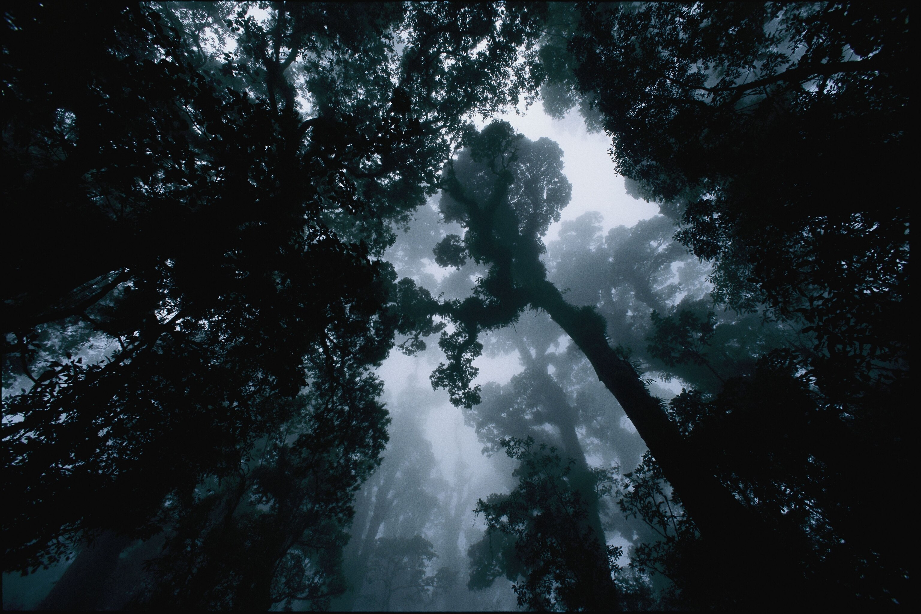 Life through the lens: Steve Winter