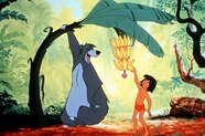 How Much Do You Know About The Real Jungle Book Animals National How Much Do You Know About The Real Jungle Book Animals National
