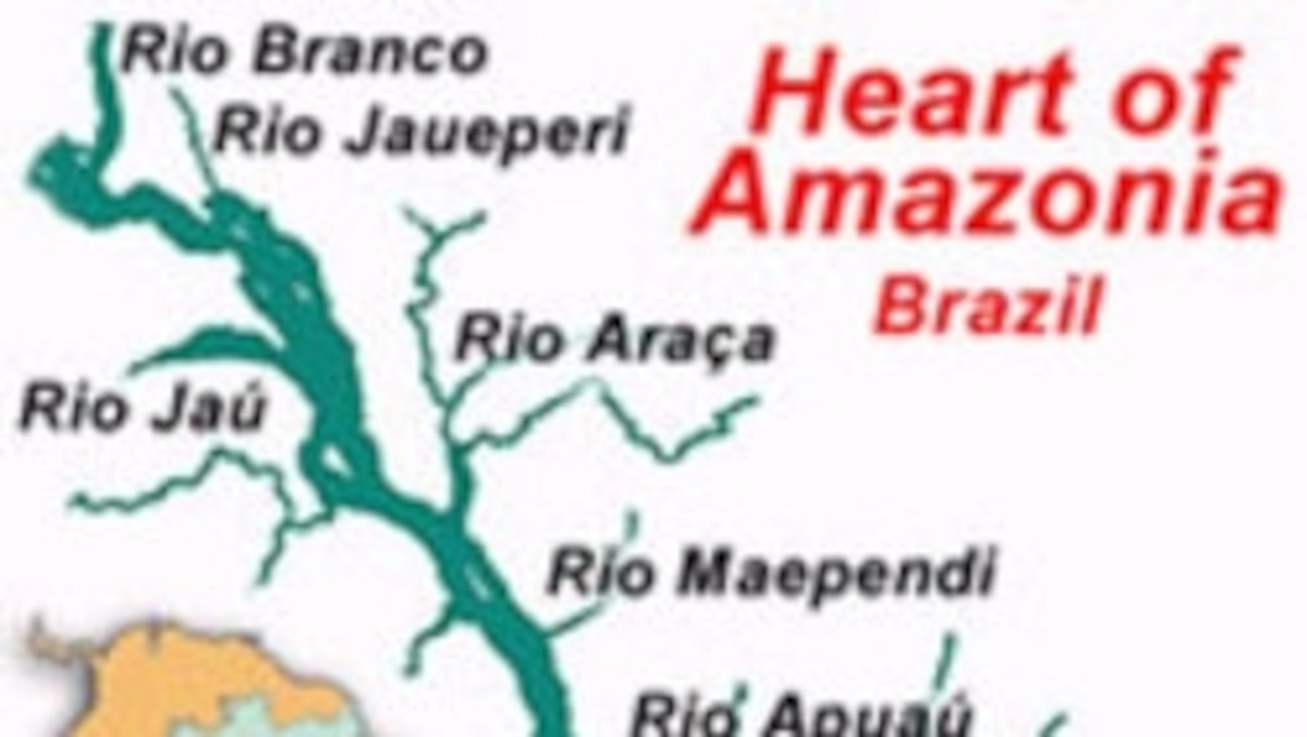 Tour Guide: Amazon Adventure | National Geographic