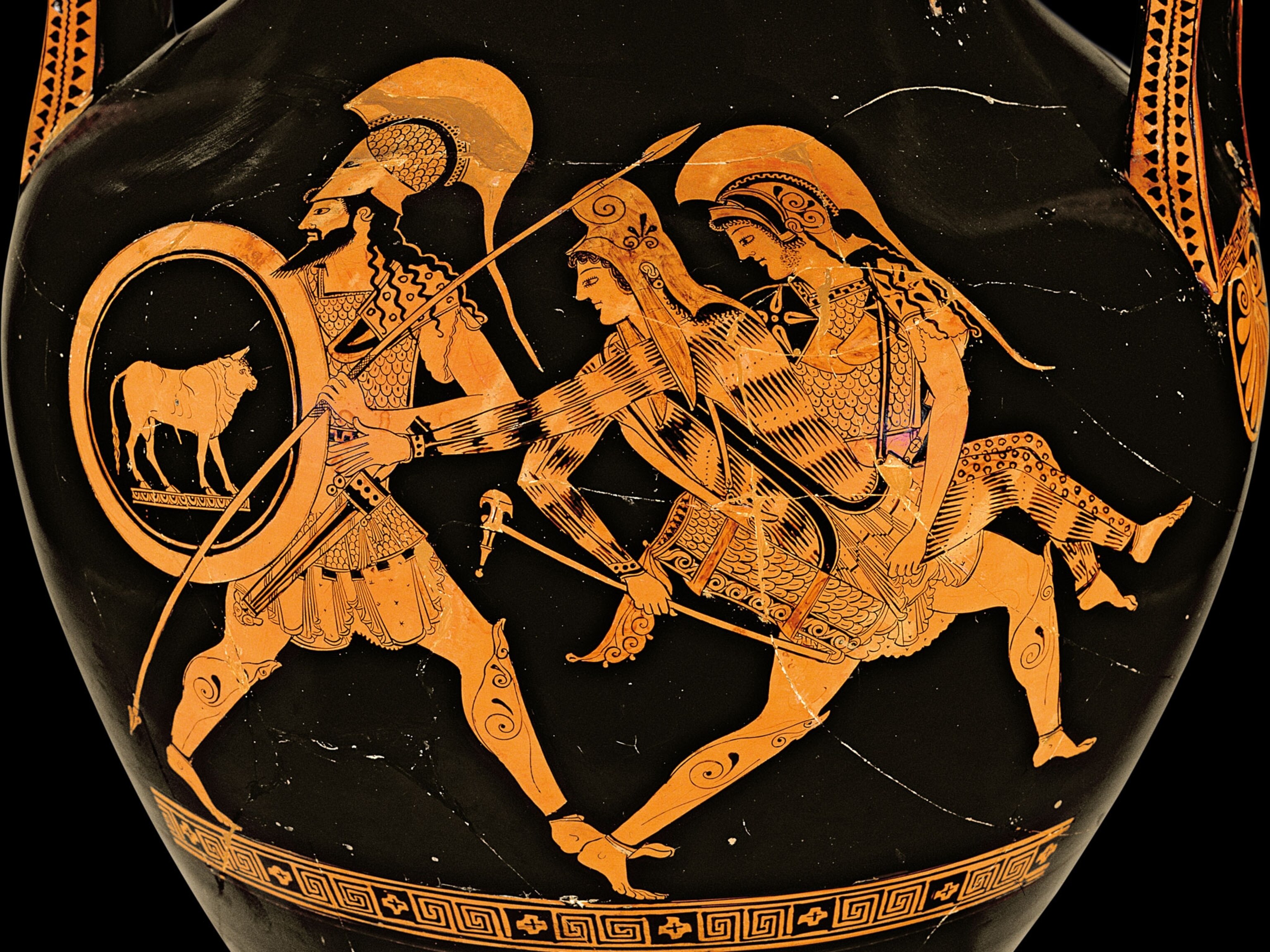 The Real Amazons: Separating Fact from Fiction