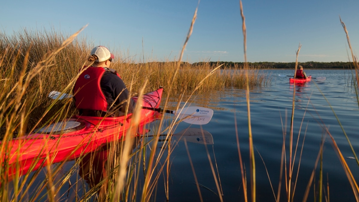 Florida by Water: Tackle the “Saltwater Appalachian Trail” -- National ...