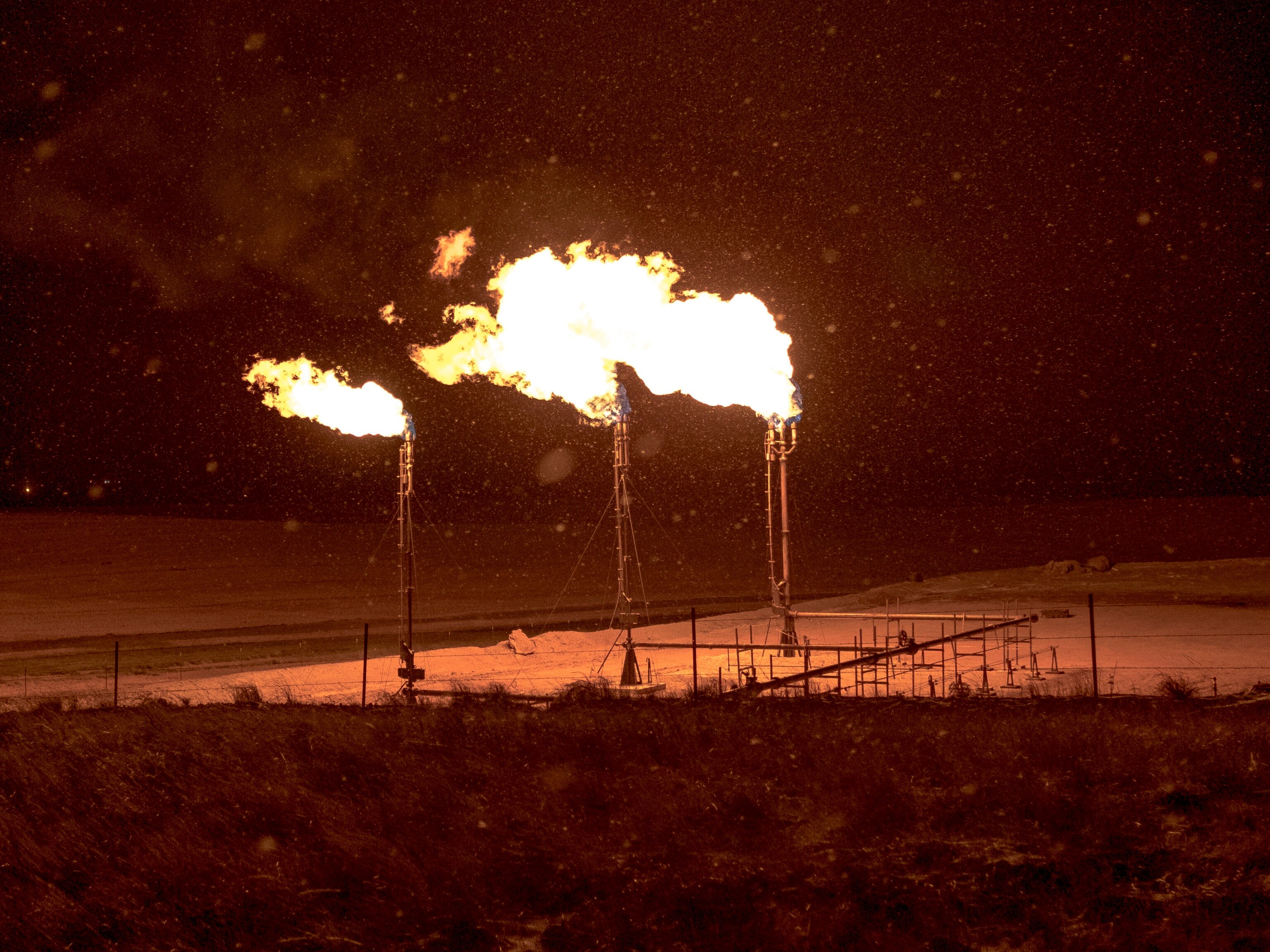 Trees release flammable methane—here's what that means for climate