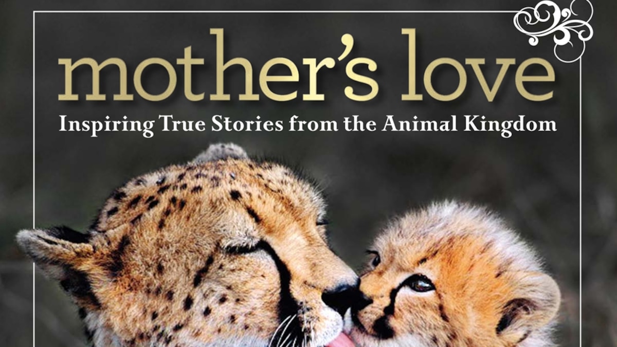 Mother's Love Photos -- National Geographic | National Geographic