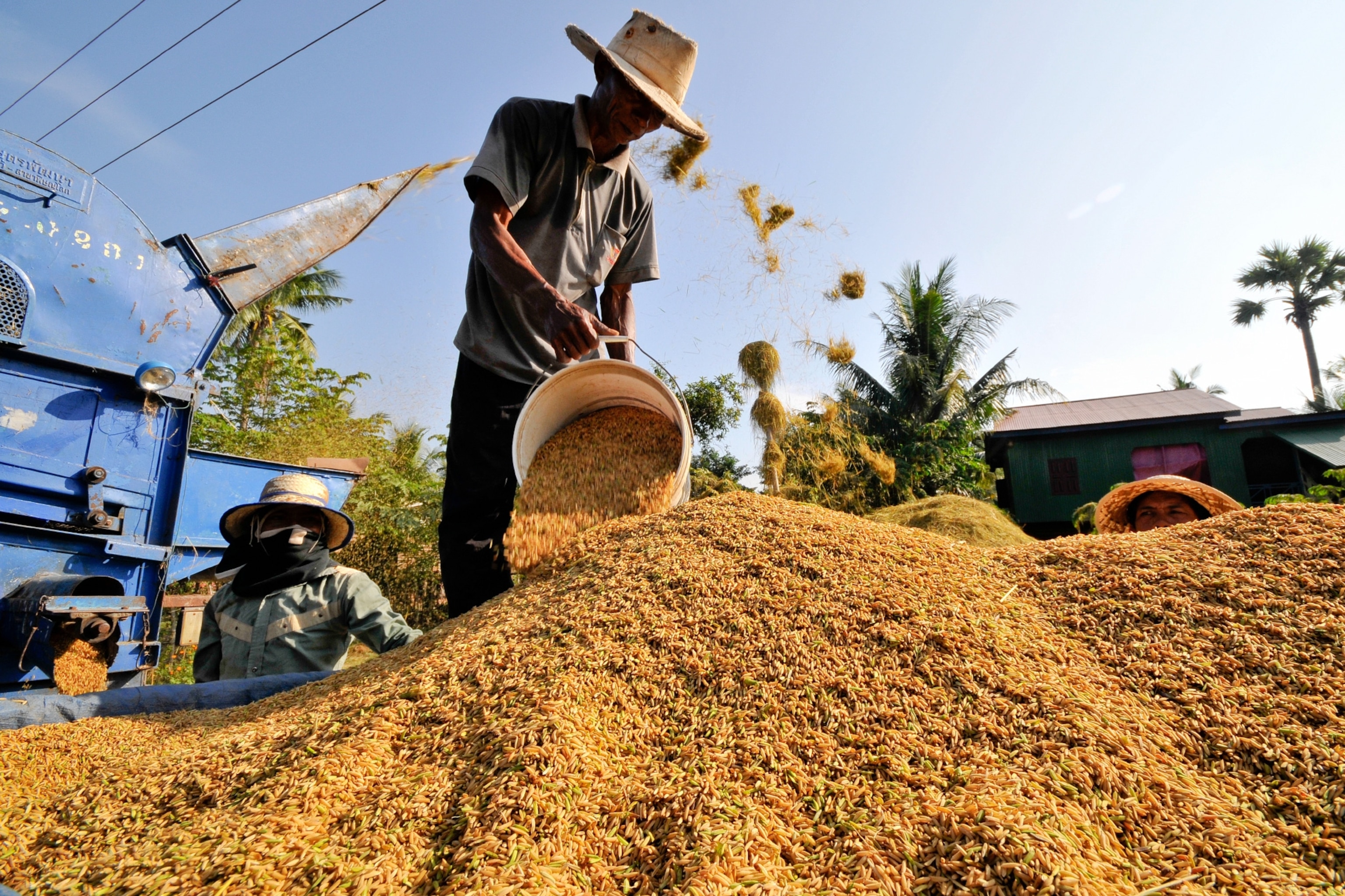 Opinion: Want to Make a Dent in World Hunger? Build Better Roads