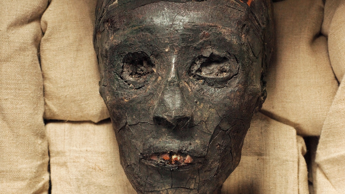 Mystery of King Tut's Death Solved? Maybe Not | National Geographic