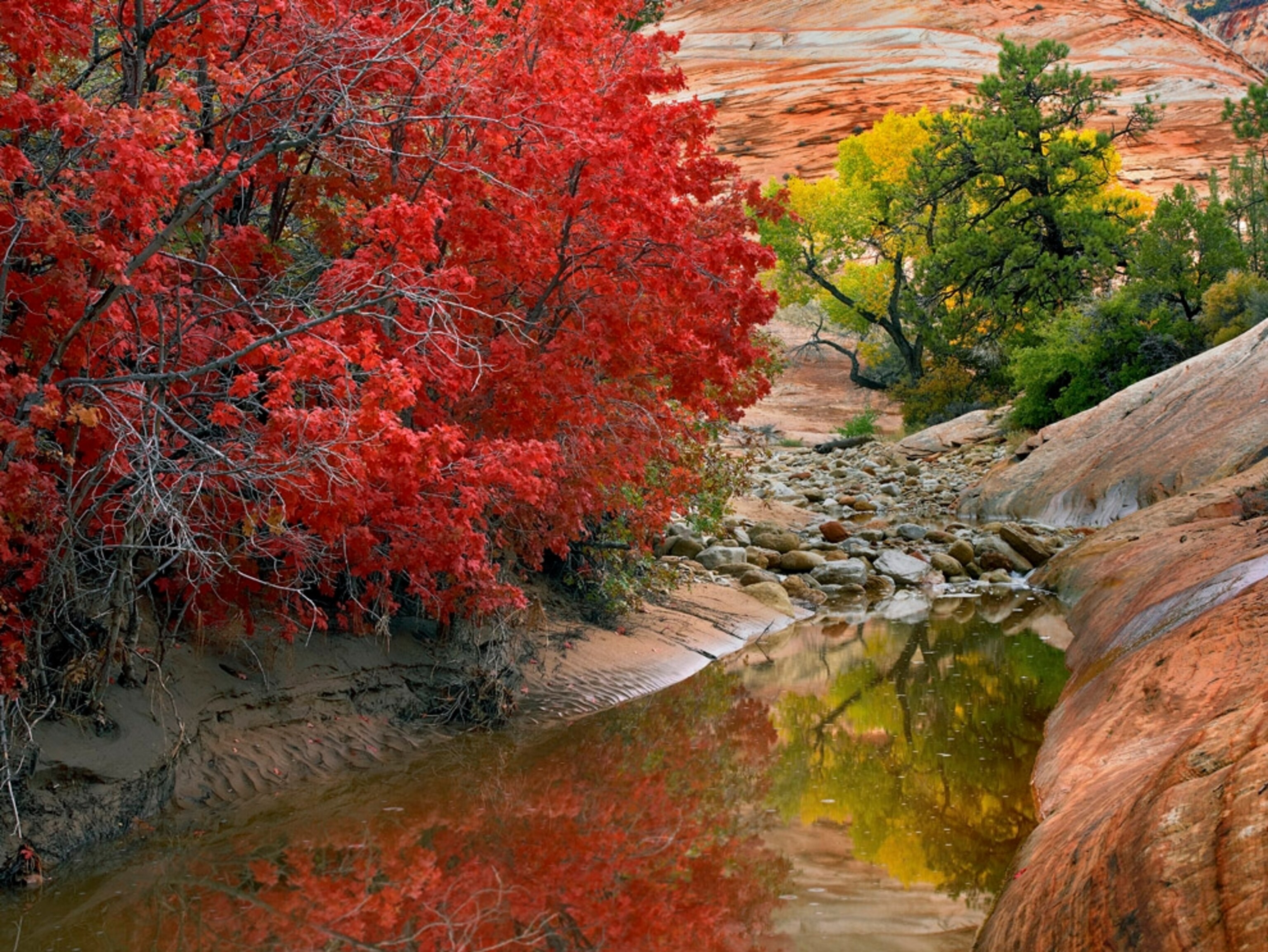 Autumn in the United States Photos - National Geographic