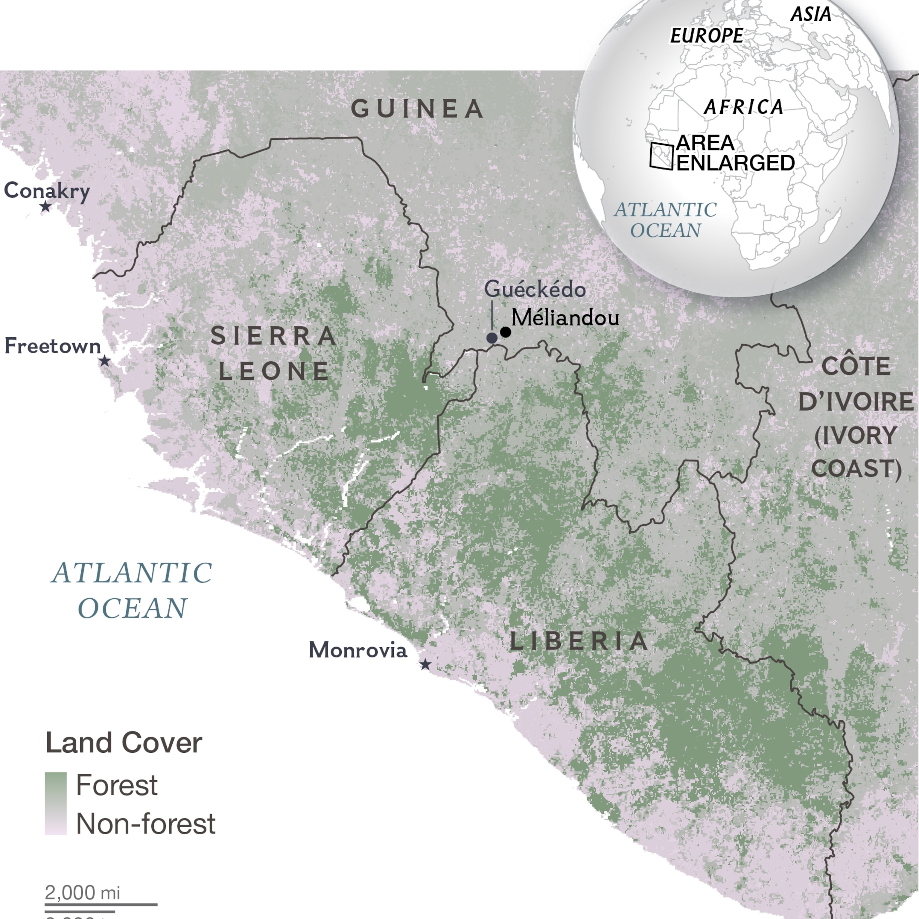 Insect-Eating Bat May Be Origin of Ebola Outbreak, New Study Suggests