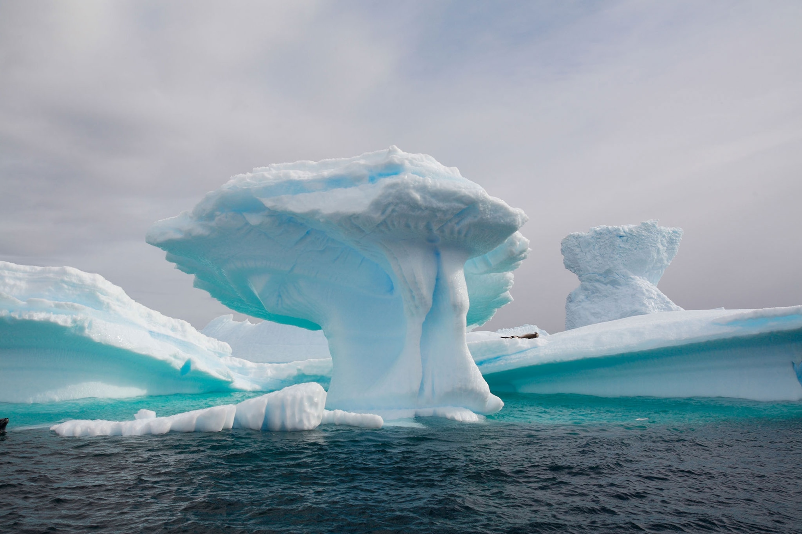 Scientists Are Watching in Horror as Ice Collapses